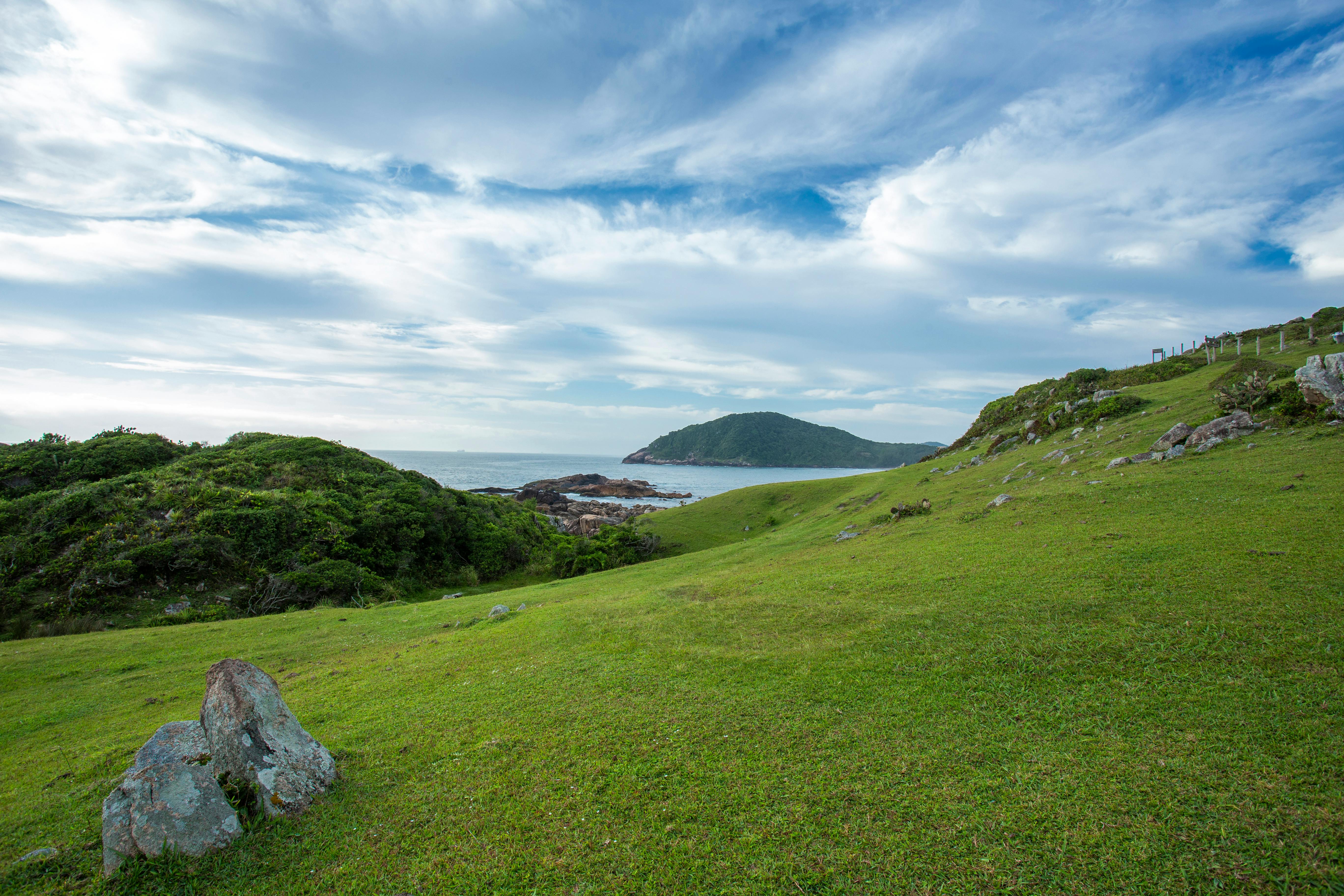 Grass Field Near the Ocean · Free Stock Photo
