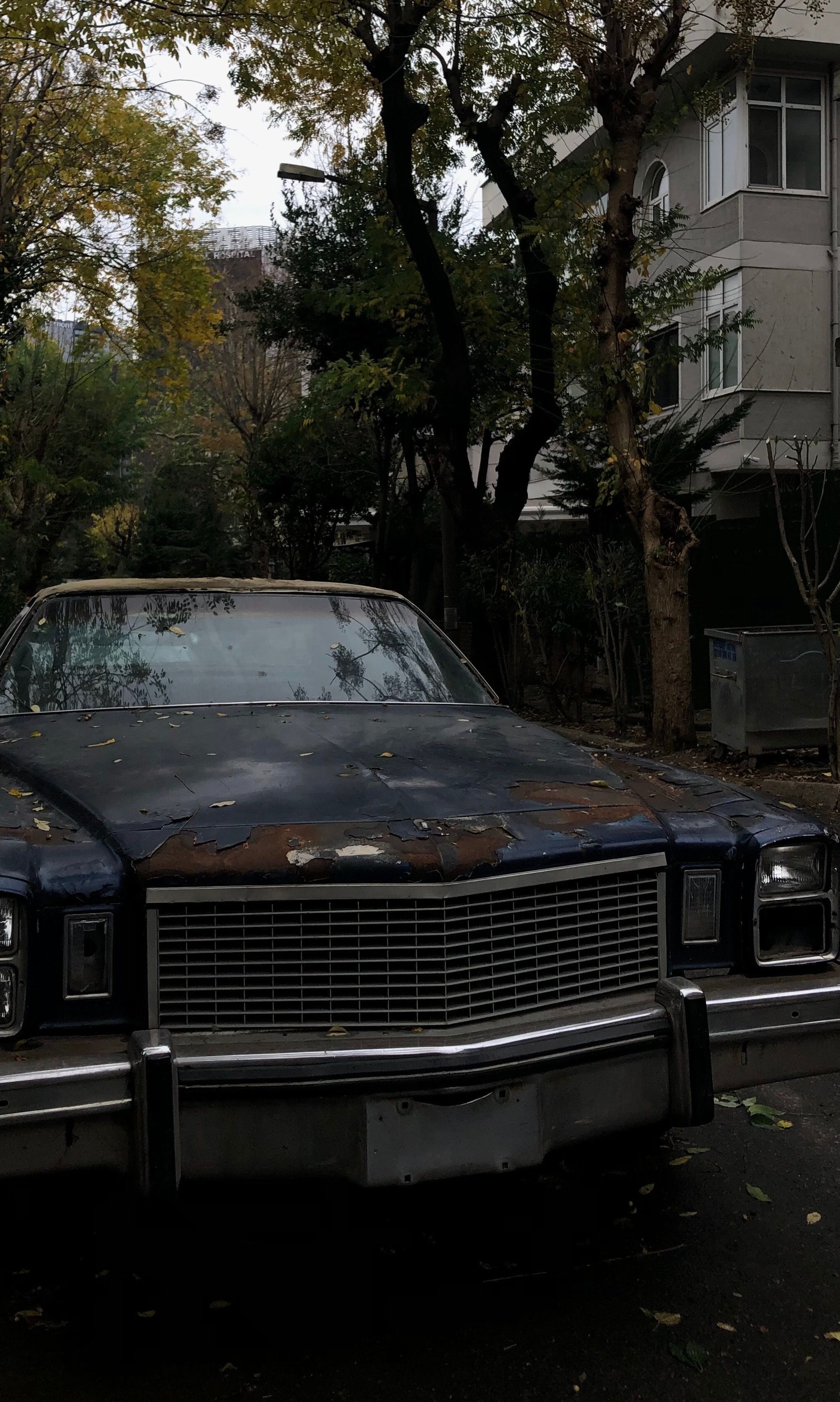 Photo of a Rusty Car · Free Stock Photo