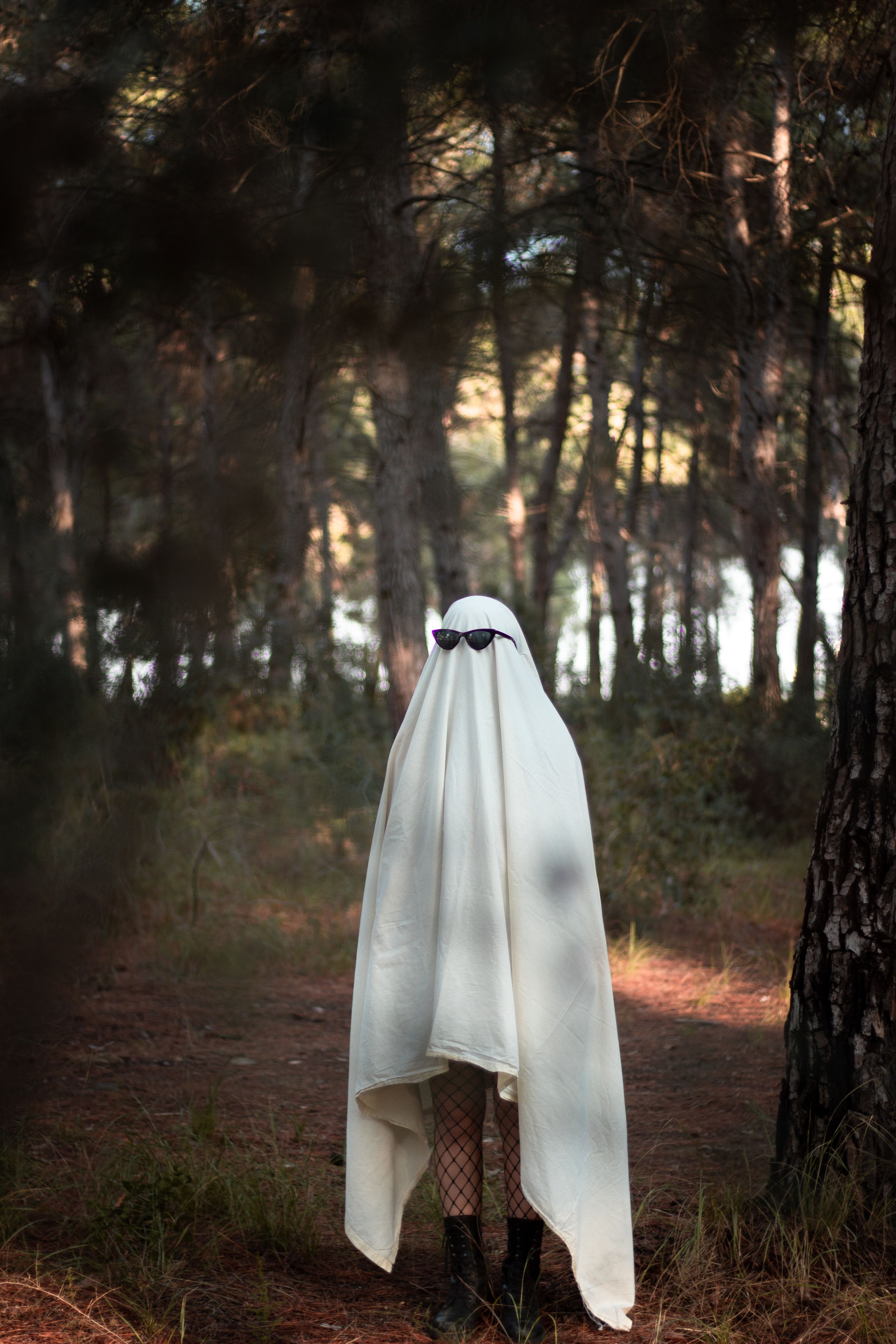 Person Dressed as a Ghost in a Forest · Free Stock Photo