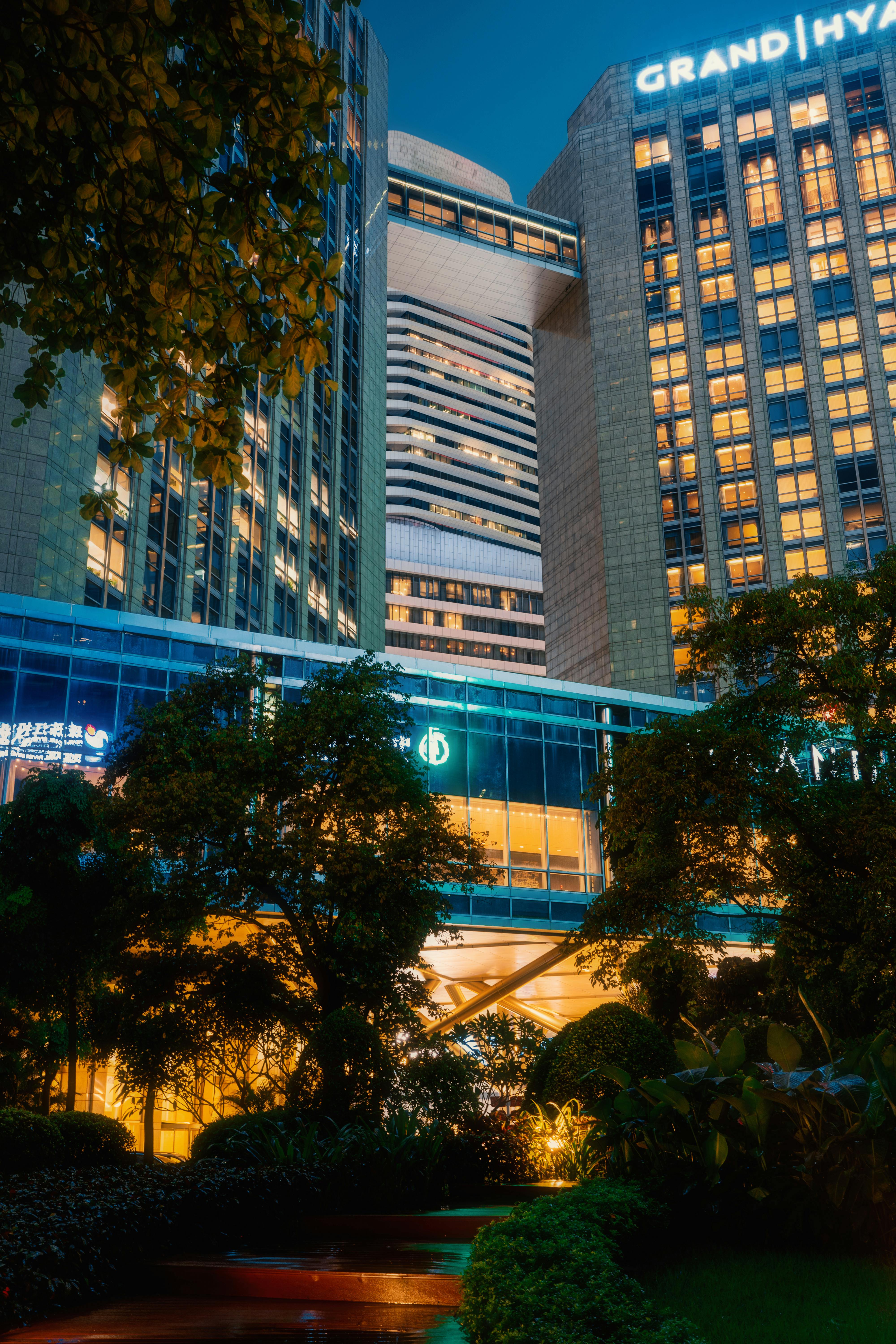 Illuminated Modern Skyscrapers · Free Stock Photo