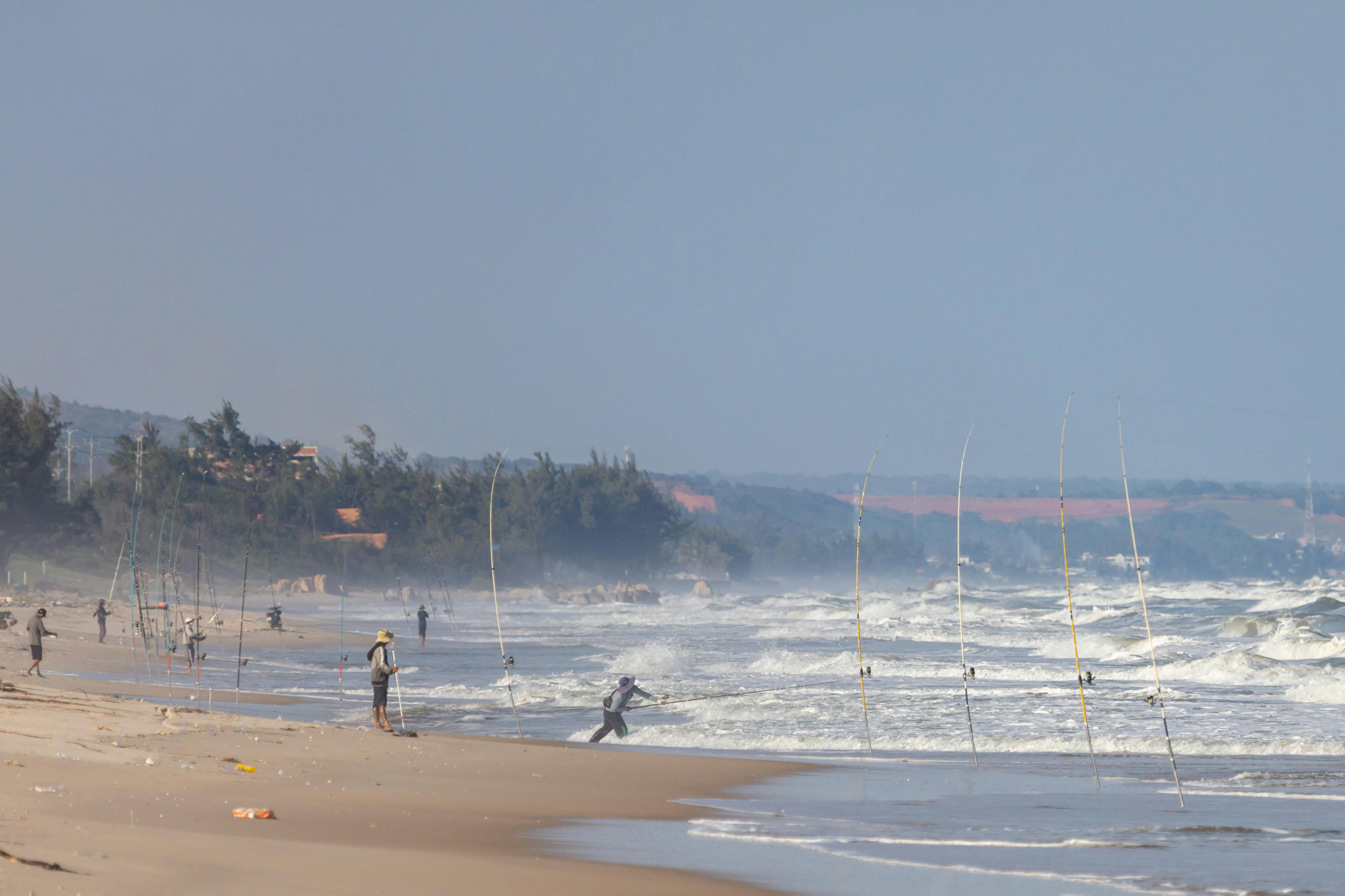 People Fishing on Beach · Free Stock Photo