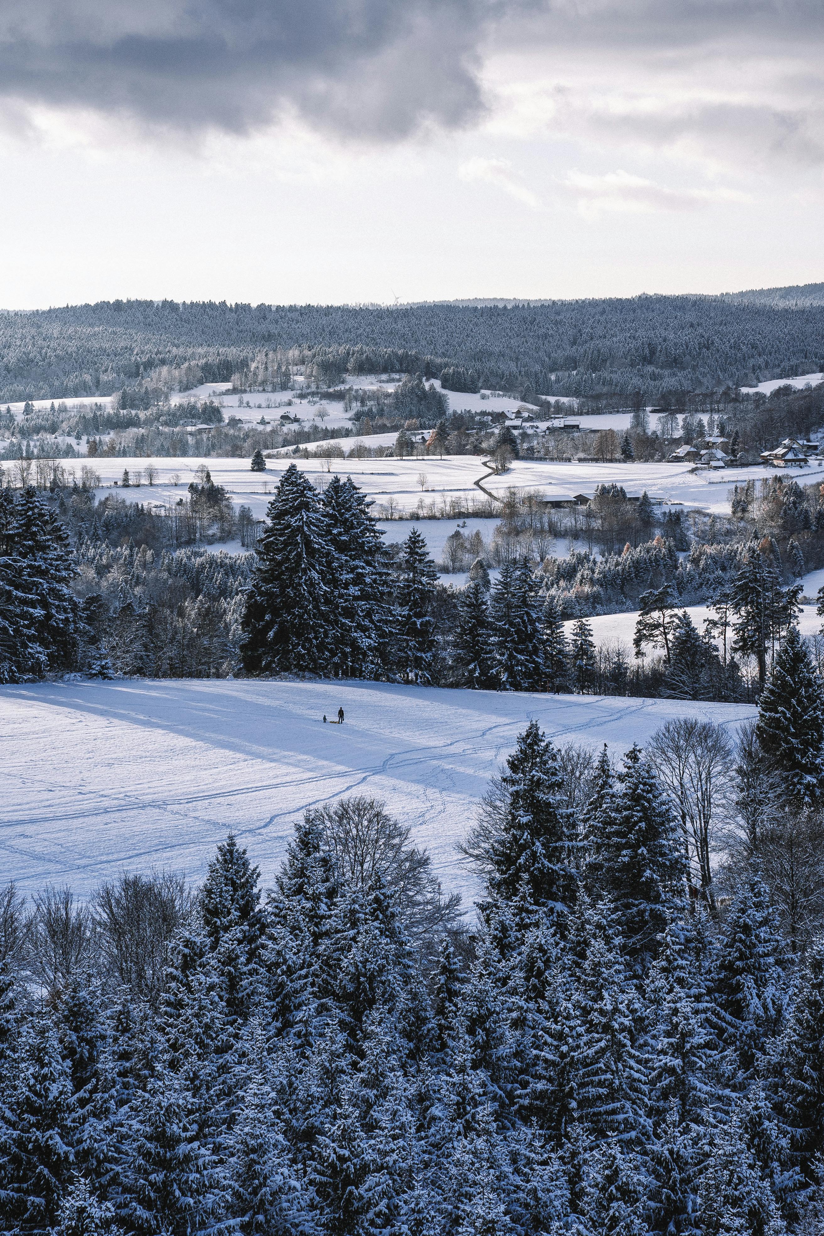 Snow on a Hill · Free Stock Photo