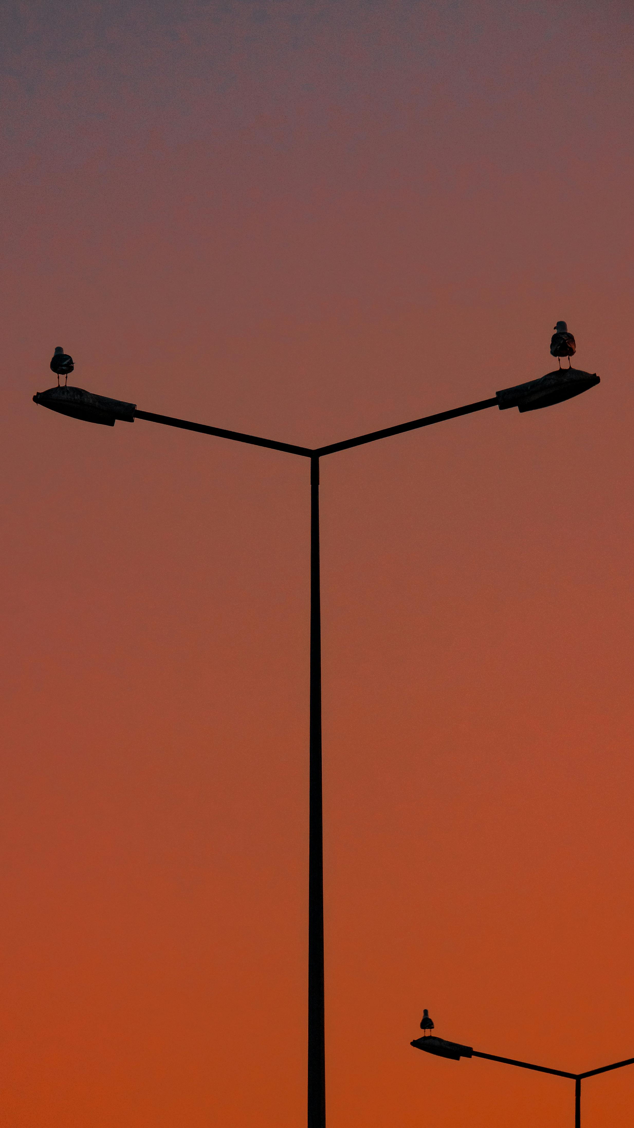 100,000+张最精彩的“Ferrari Animated Wallpaper”图片 · 100%免费下载 · Pexels素材图片