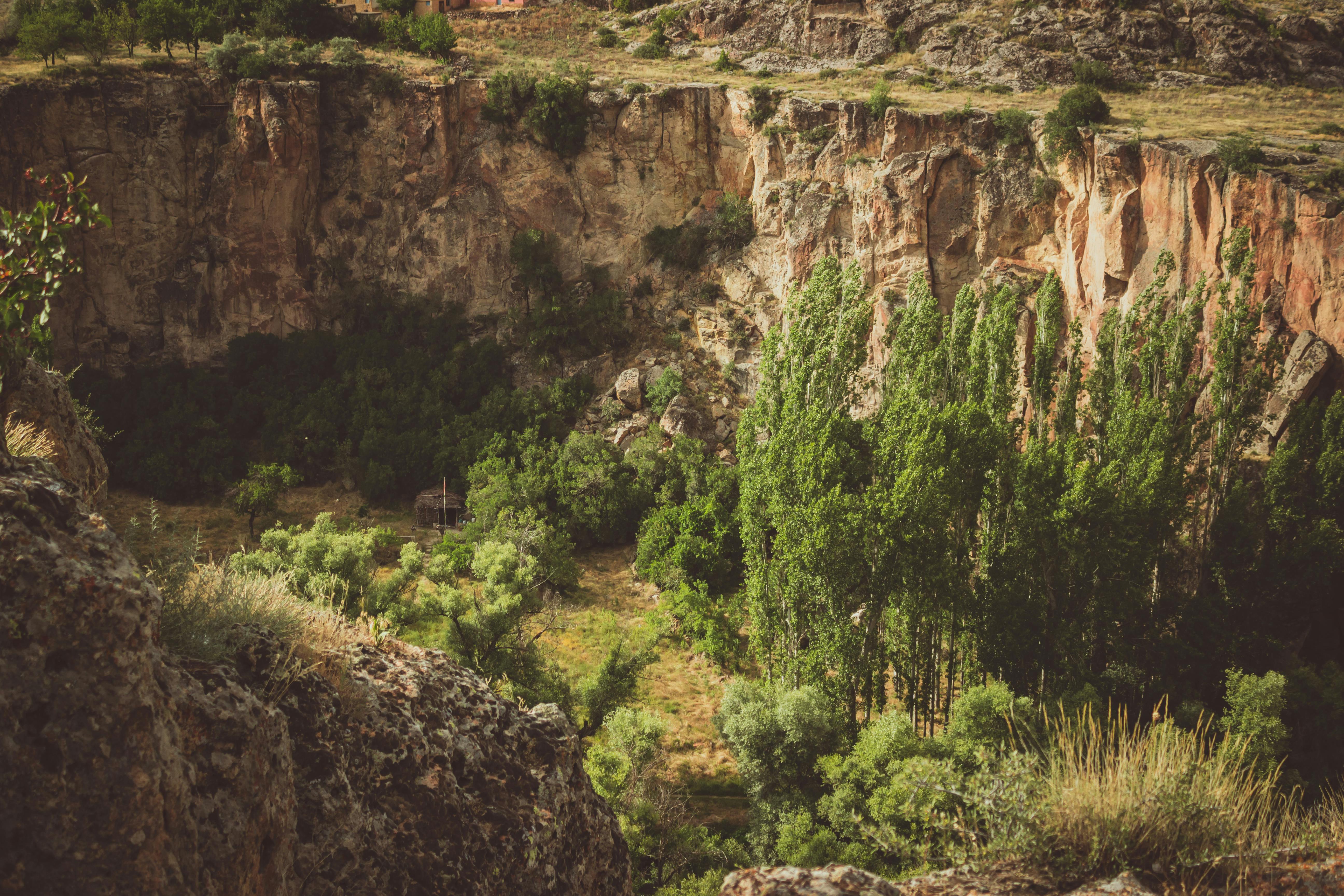 A chilling place · Free Stock Photo