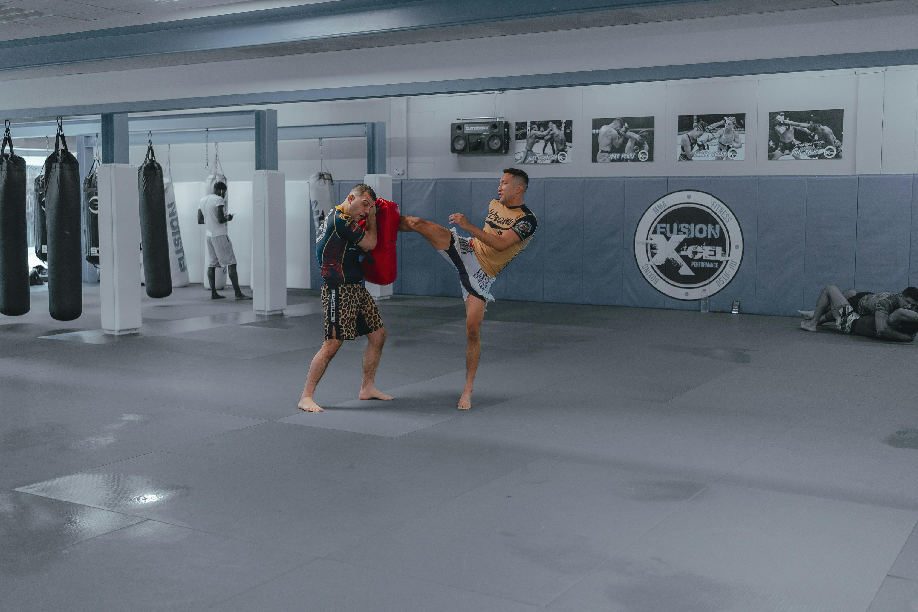 Man Performing Front Kick Towards Camera · Free Stock Photo