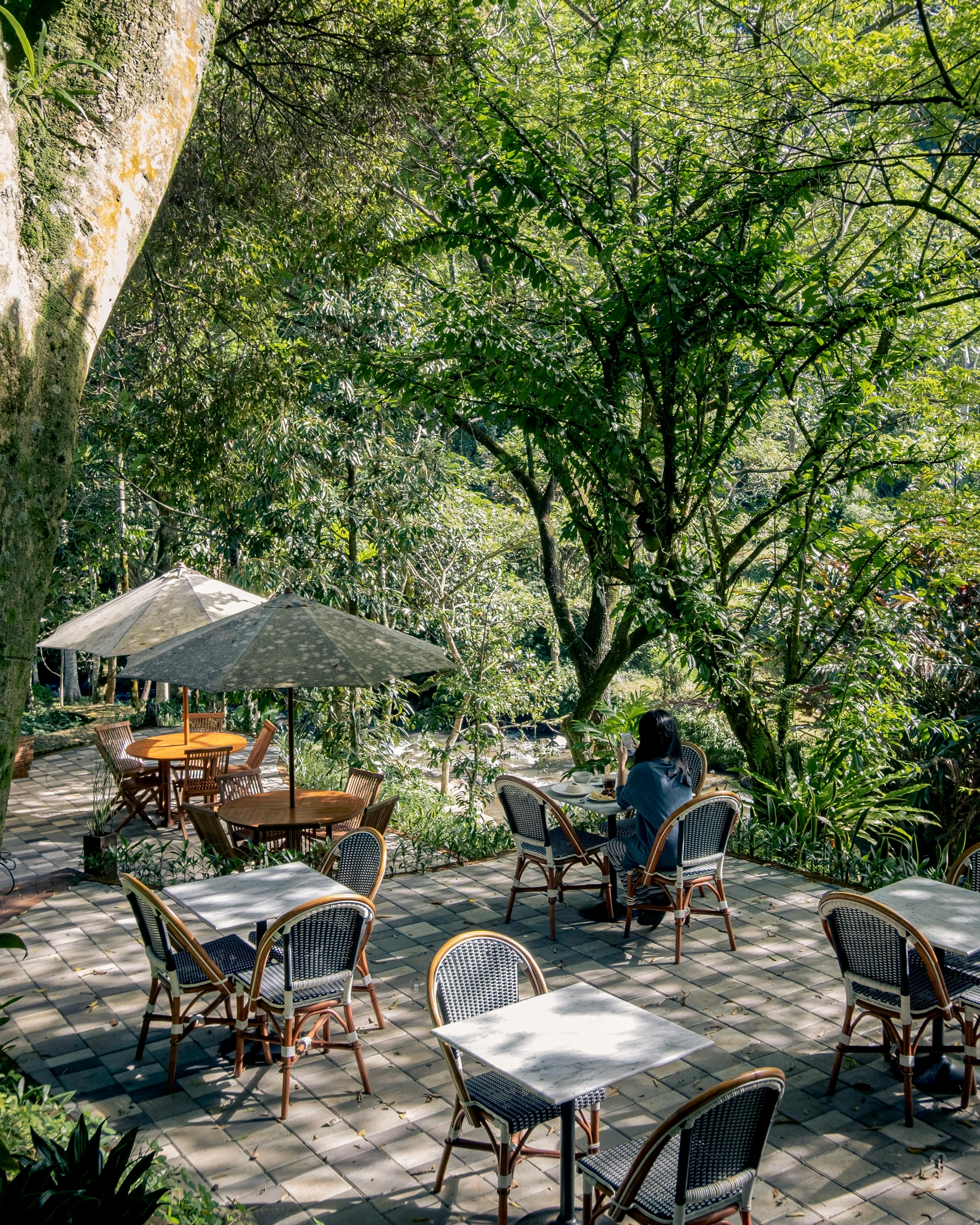 Terrace in Forest · Free Stock Photo