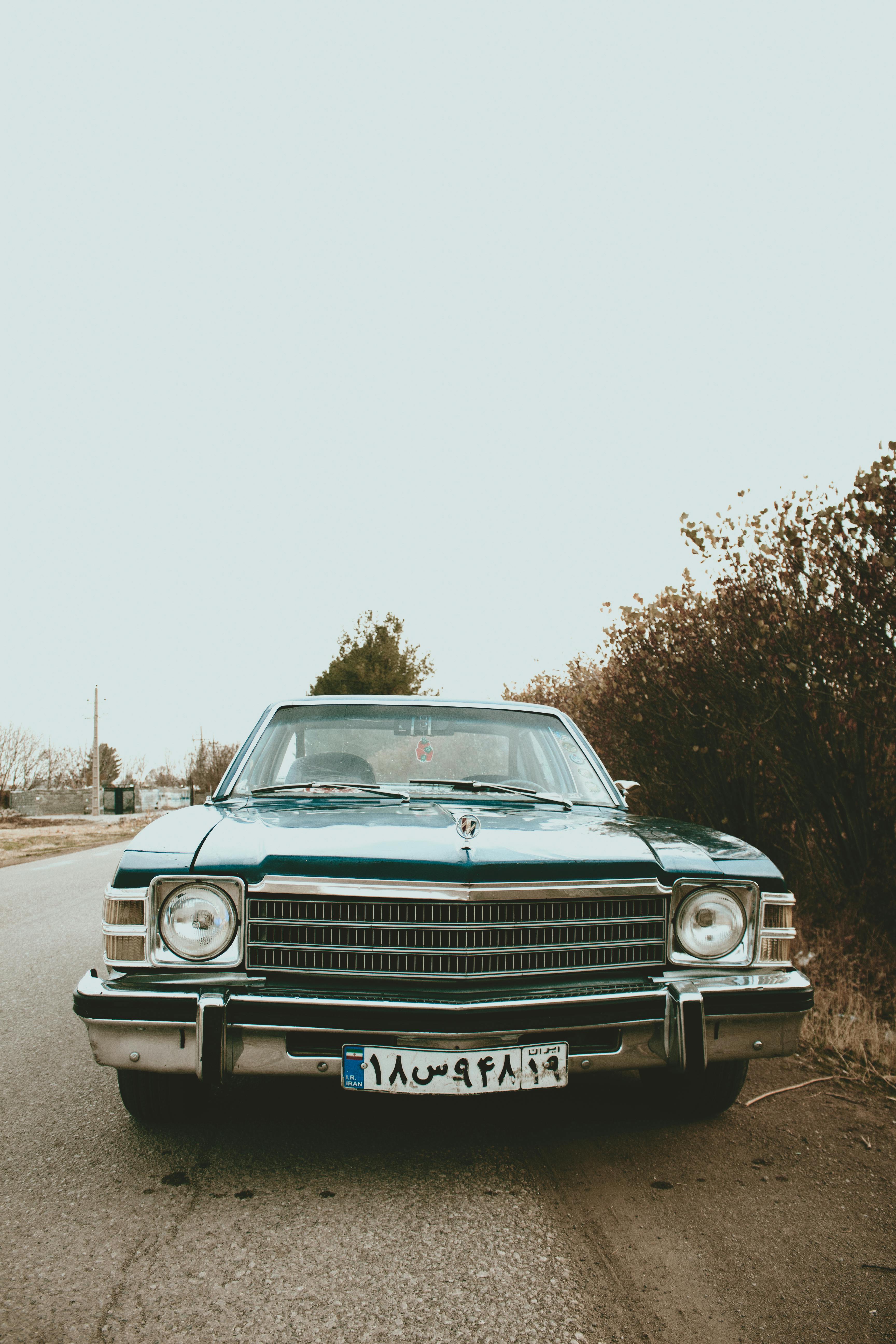 Green Buick Skylark · Free Stock Photo