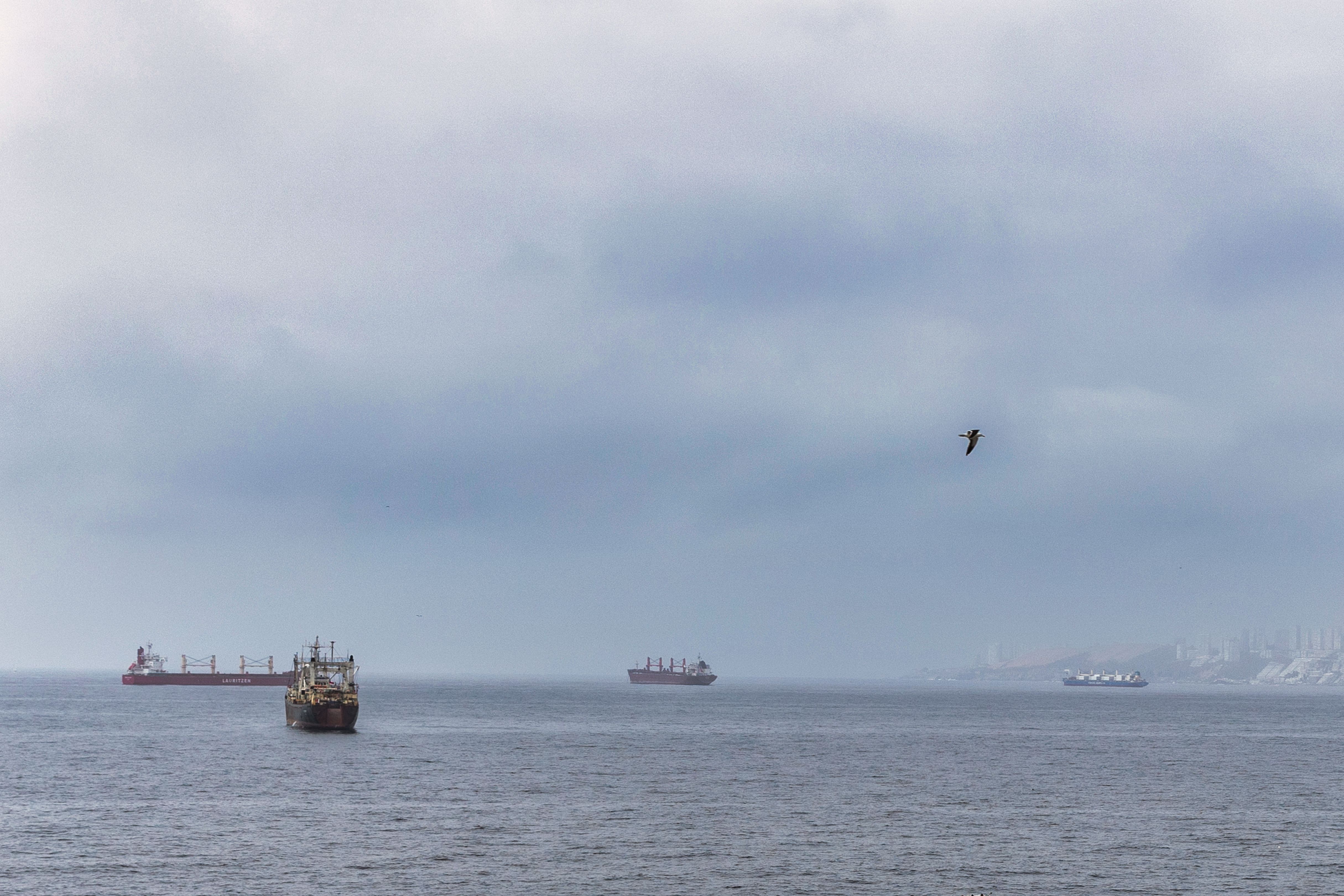 Seafarer Photos, Download The BEST Free Seafarer Stock Photos & HD Images