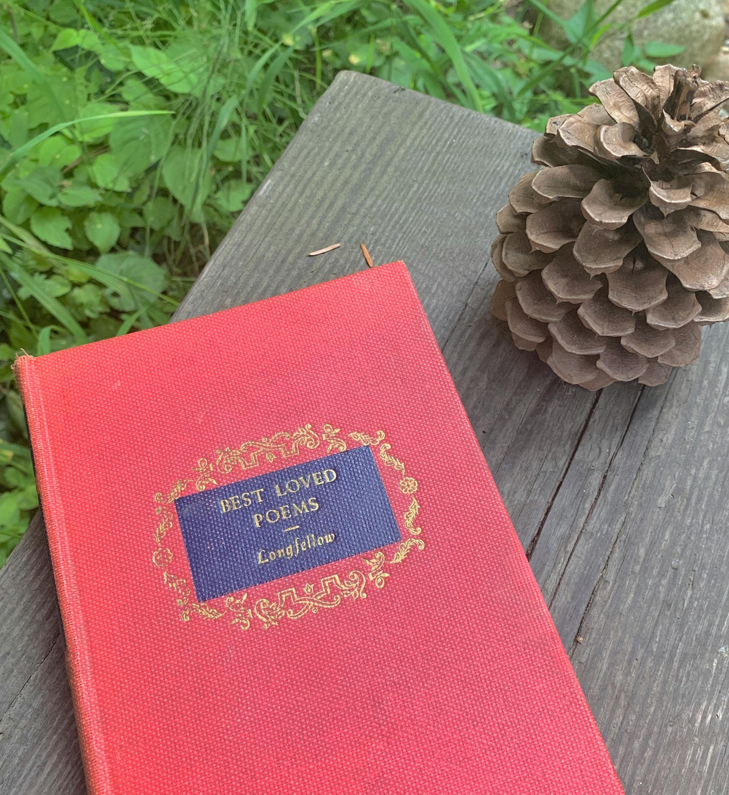 Renee Sande – Fotografia