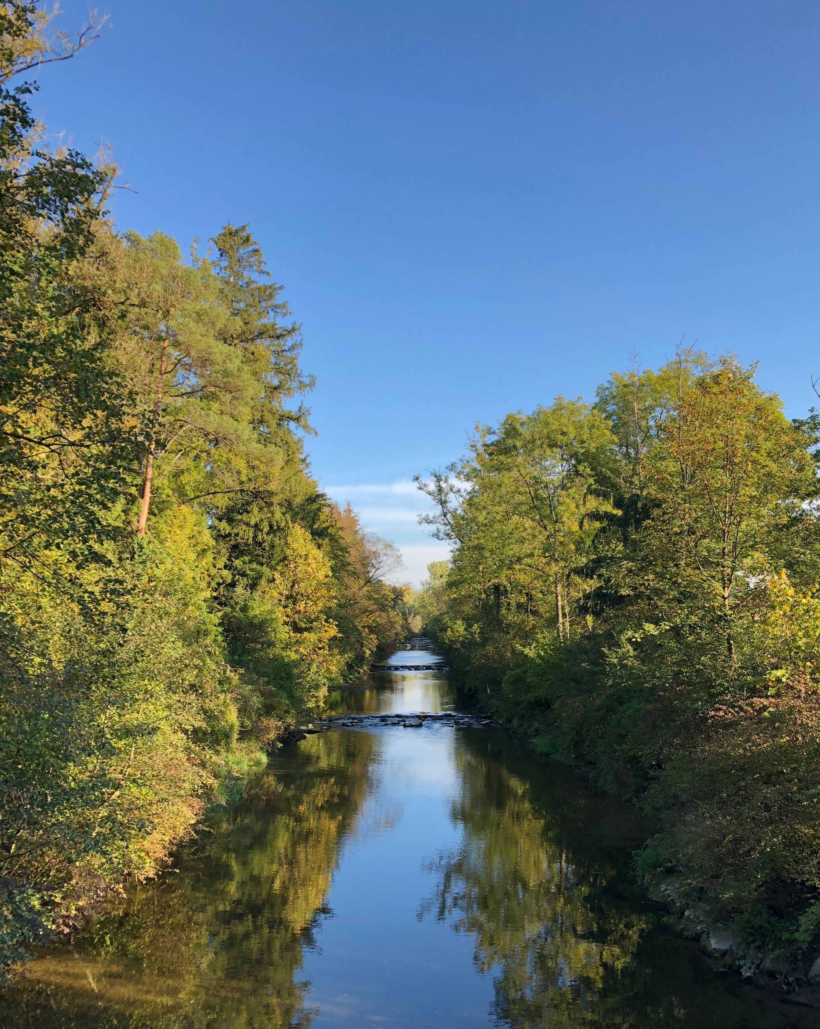 Photo of River Between Trees · Free Stock Photo