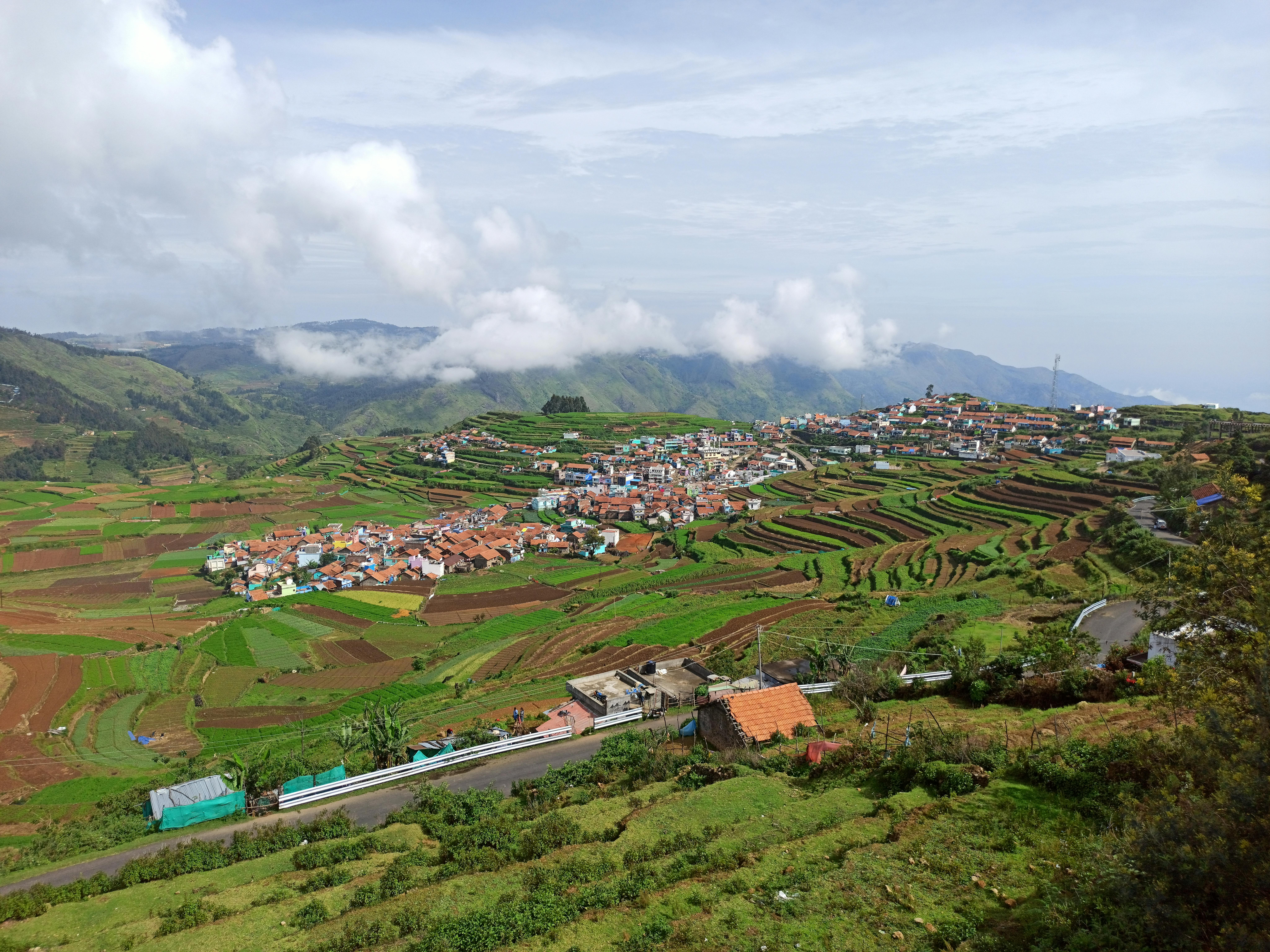 Aerial Photography of a Small Town in a Paddy Field · Free Stock Photo