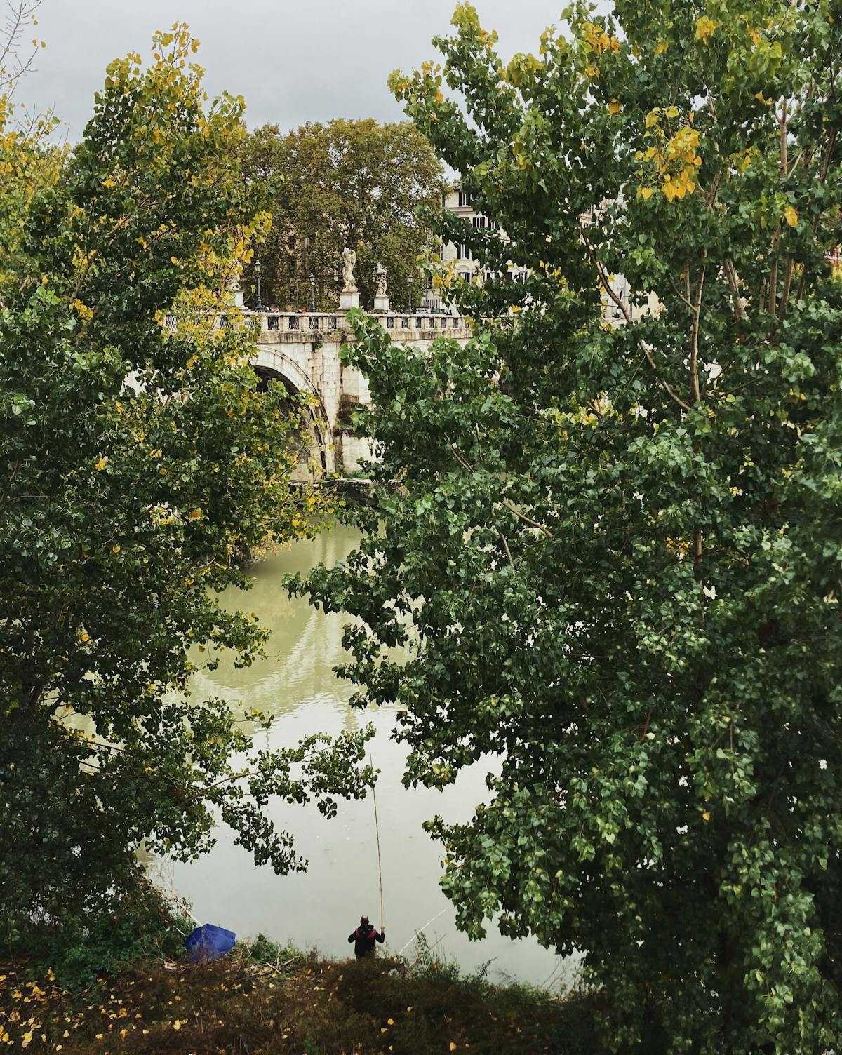 Cloaca Photos, Download The BEST Free Cloaca Stock Photos & HD Images