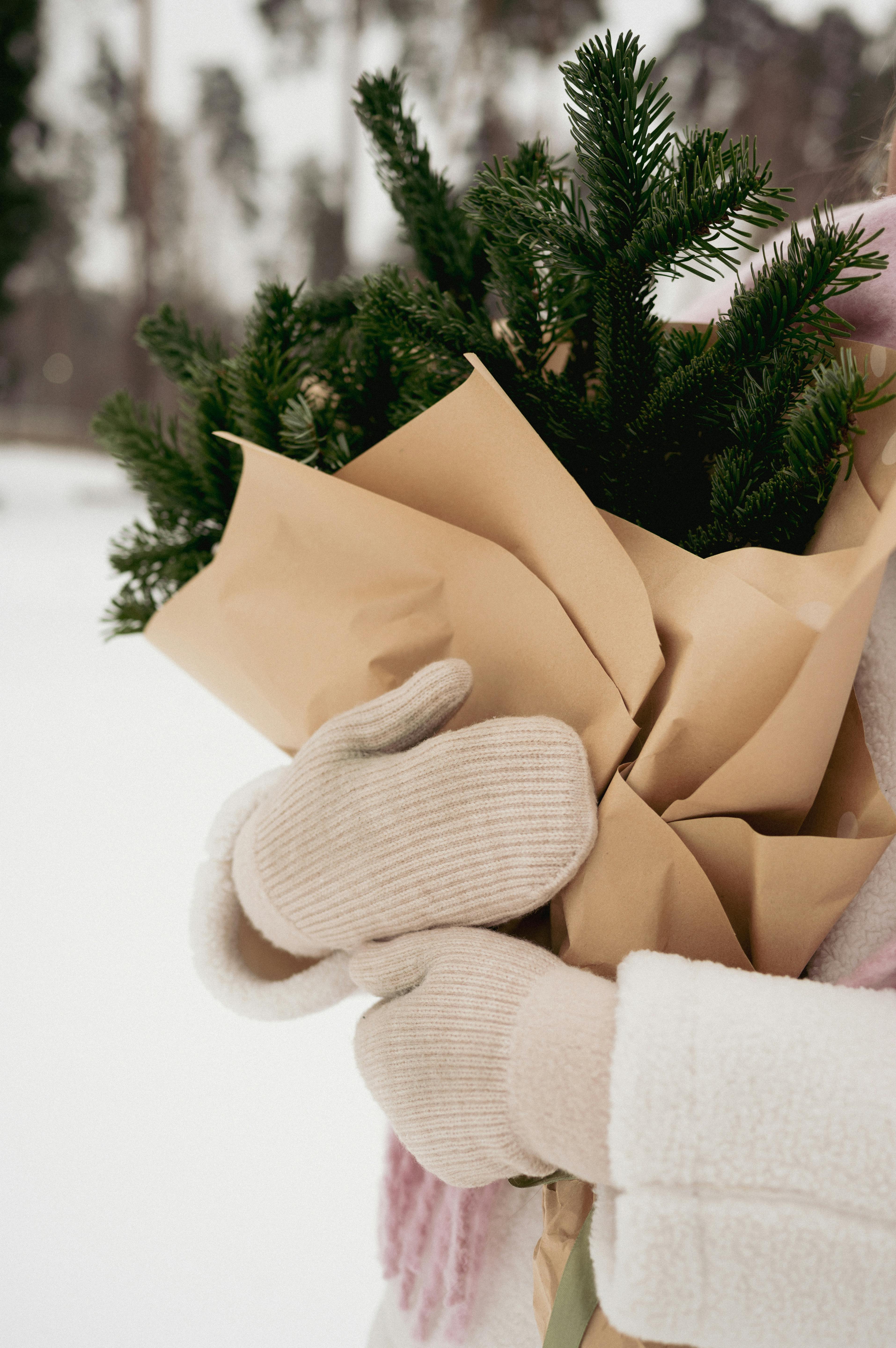 Mittens Photos, Download The BEST Free Mittens Stock Photos & HD Images