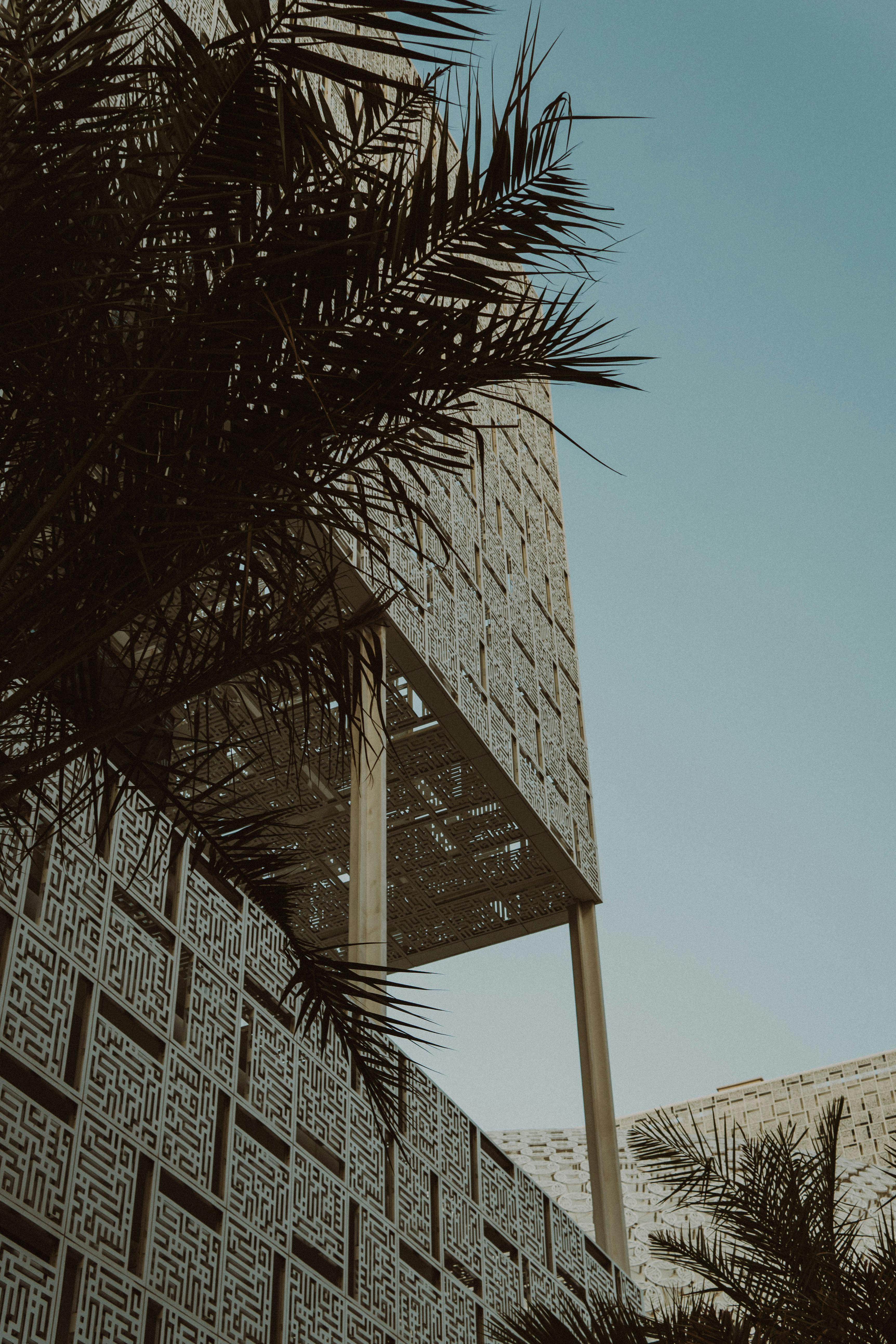 Palm Trees in front of the Facade of a Modern Building · Free Stock Photo