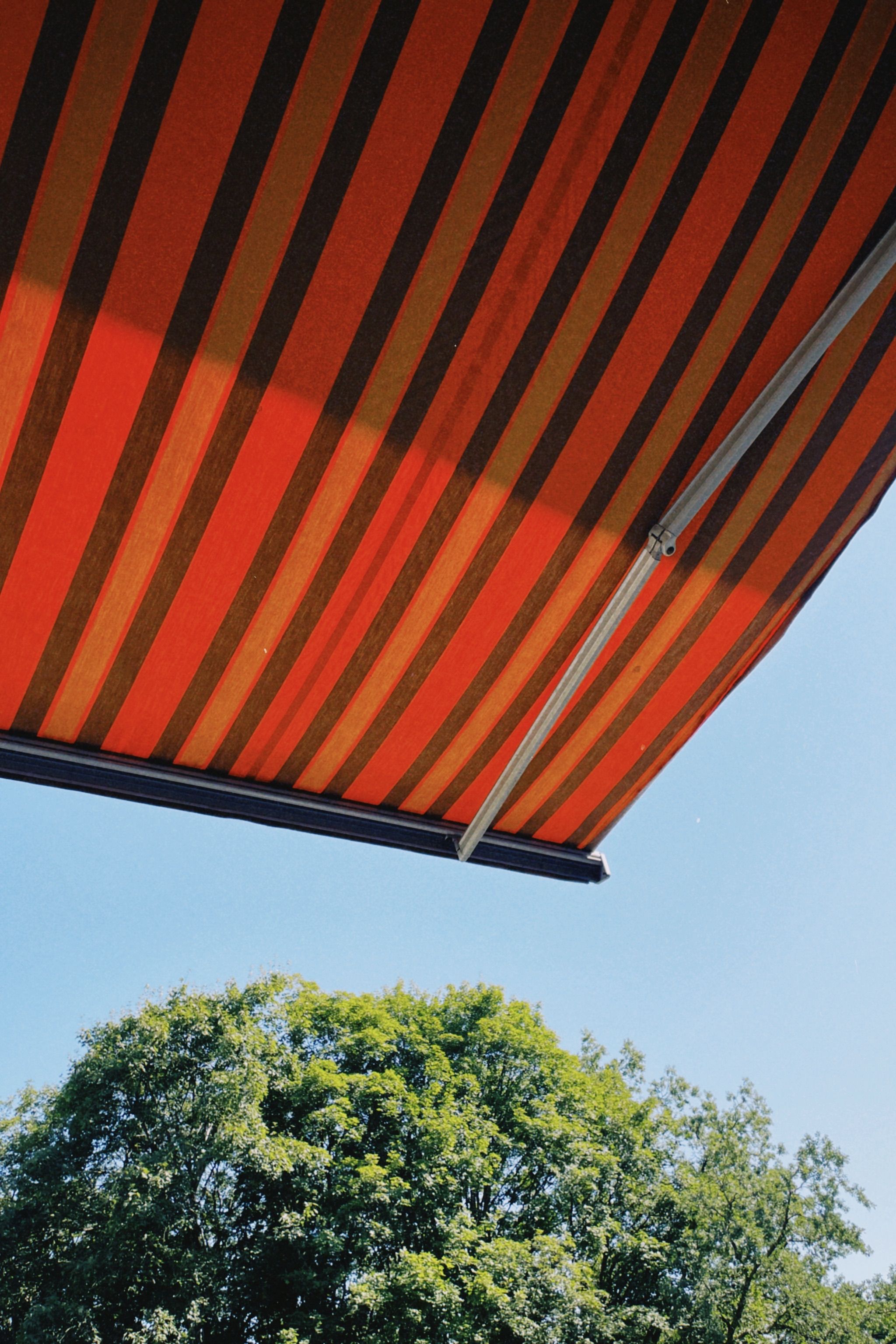 Striped Canopy Near Trees · Free Stock Photo