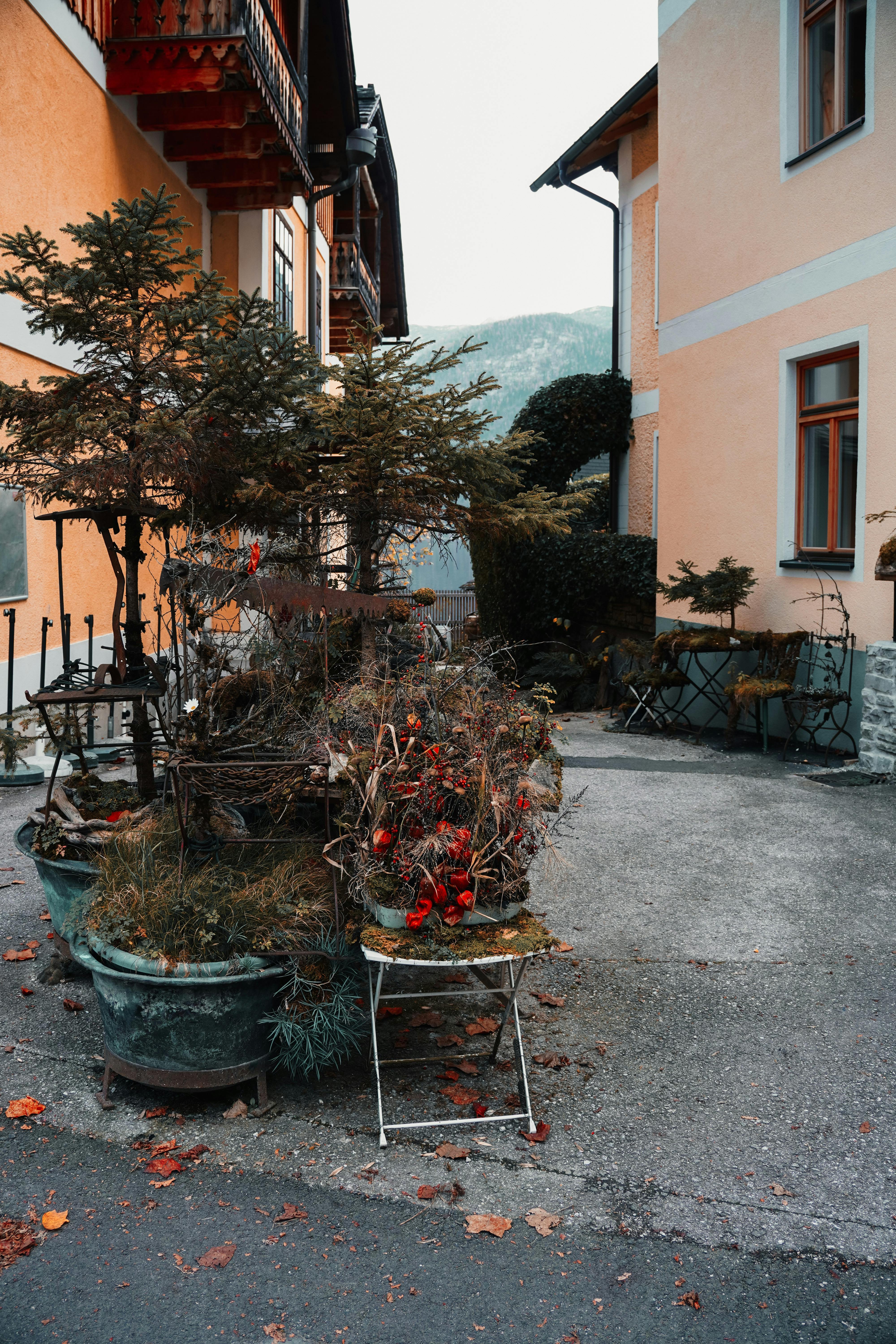 Plants and Trees near Buildings in Town · Free Stock Photo