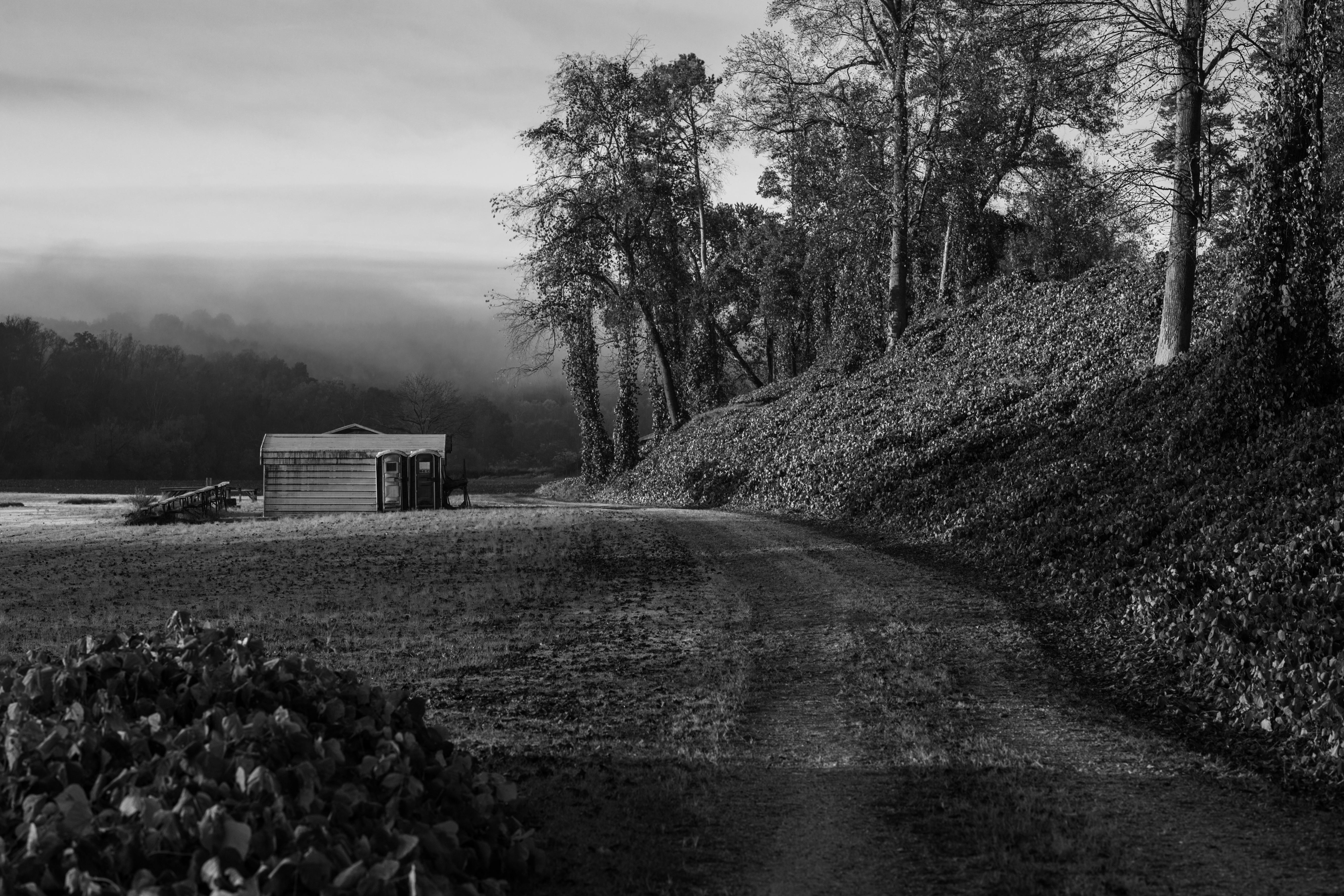 Overcast over Road · Free Stock Photo