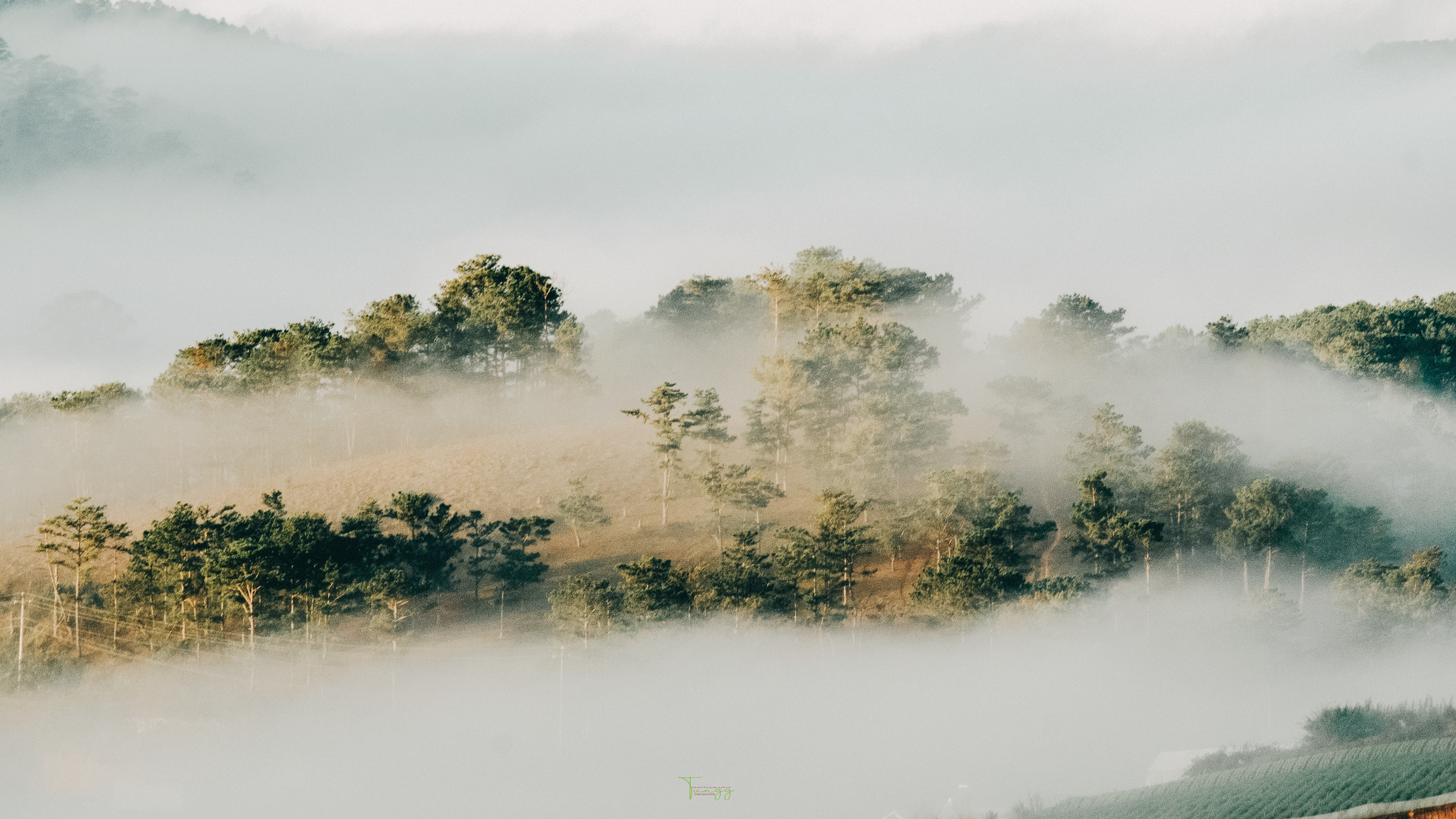 Valley in Fog · Free Stock Photo