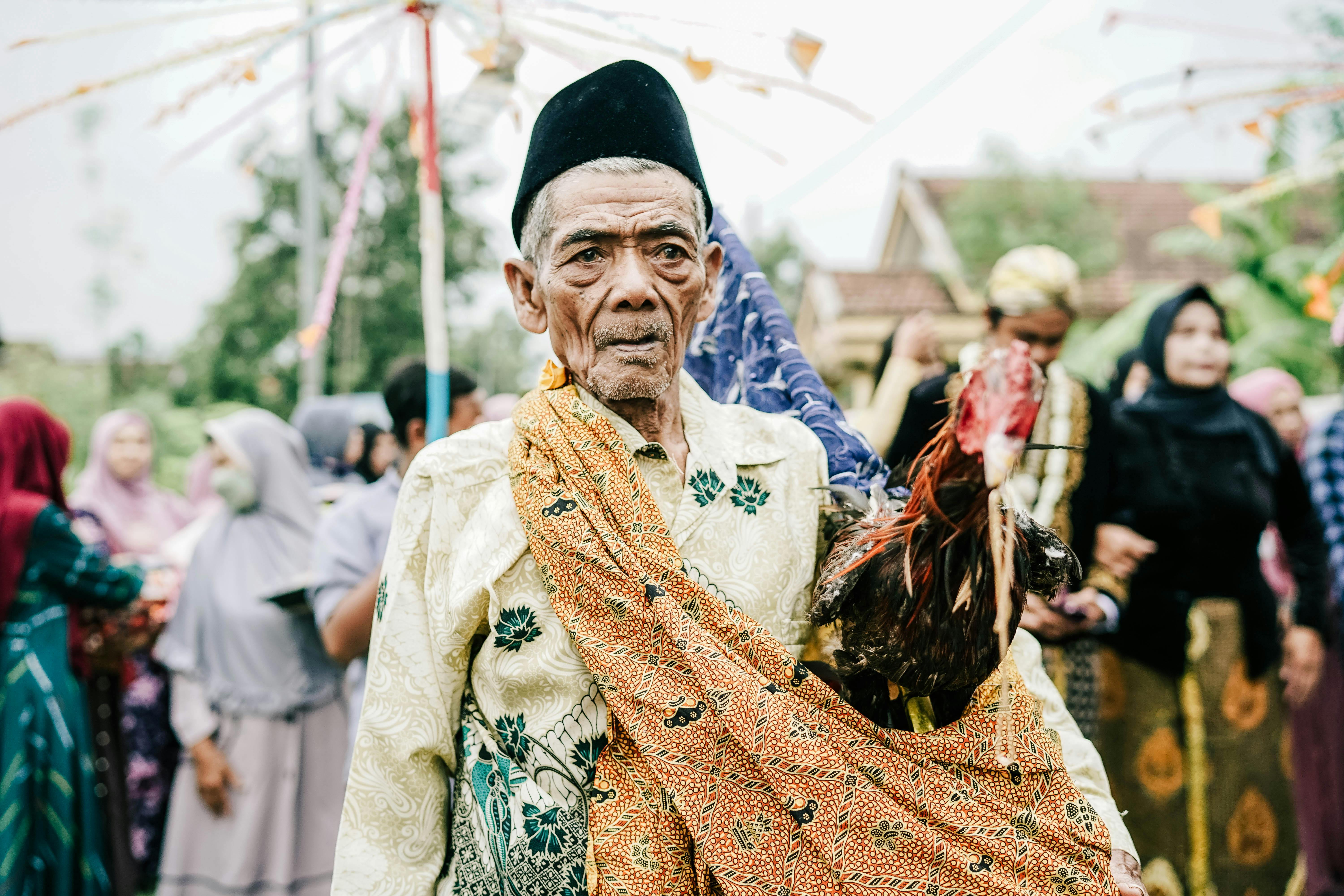 ayam jago loro pangkon · Free Stock Photo