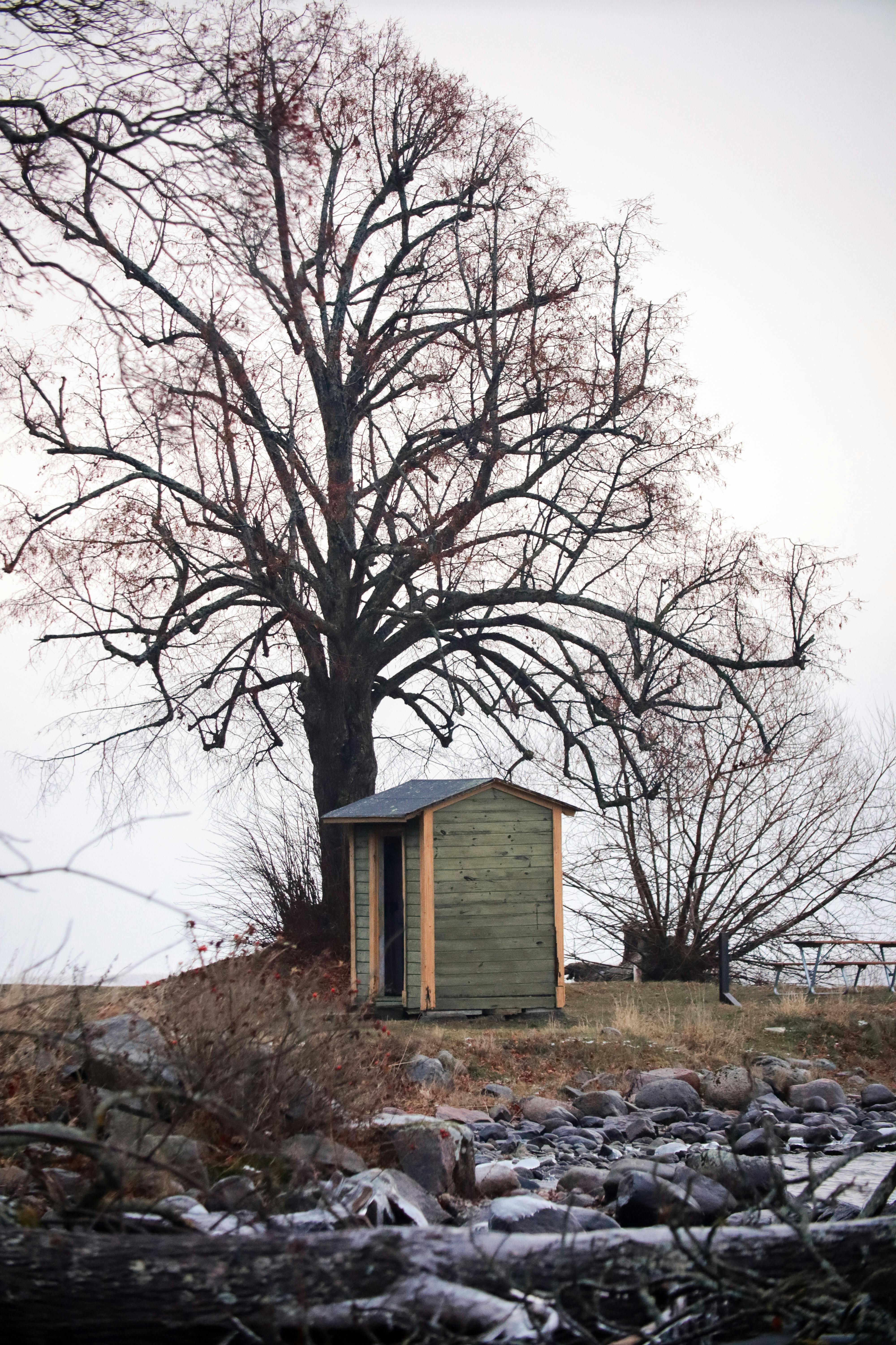 Wooden Shed under a Tree · Free Stock Photo