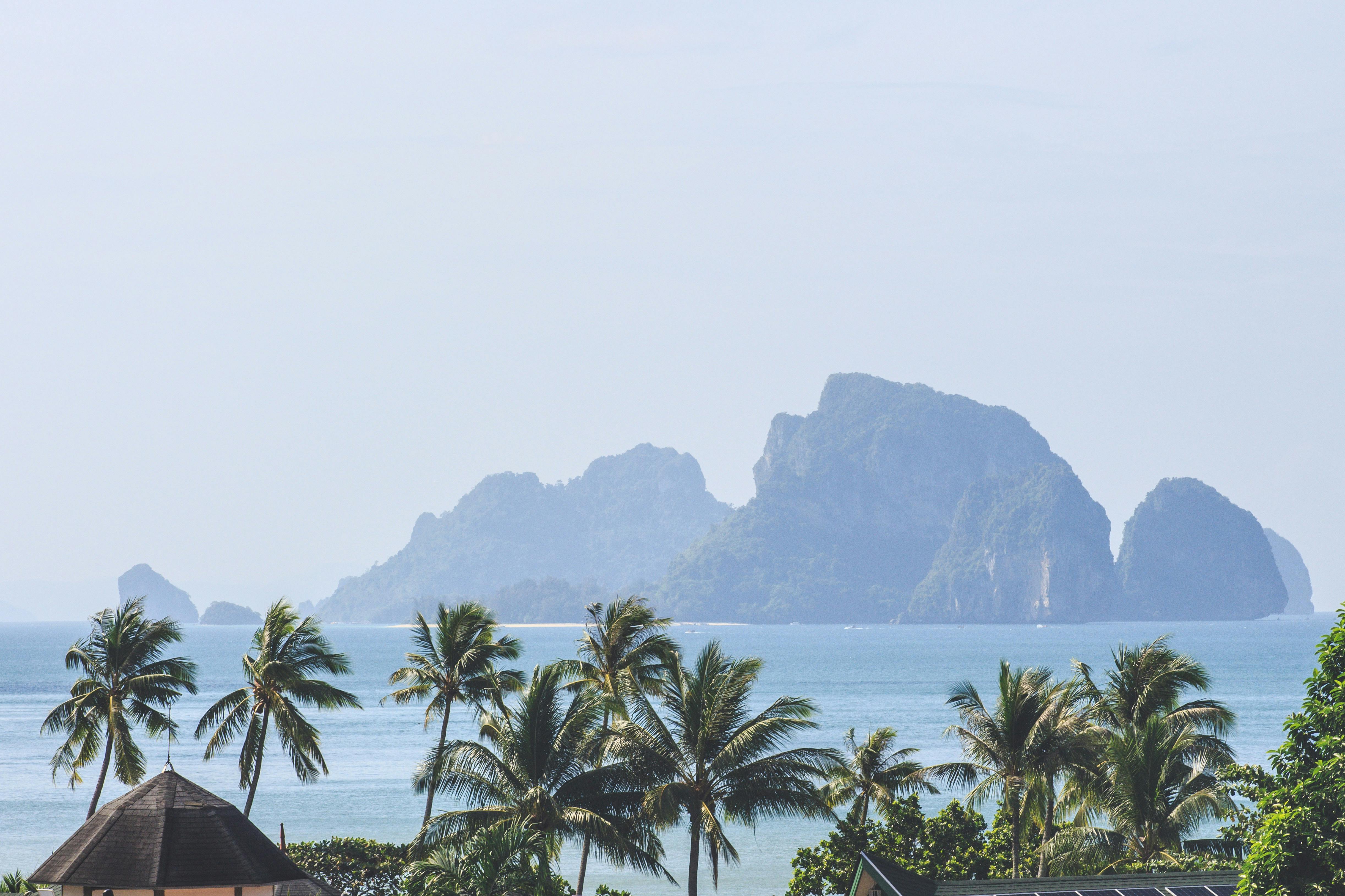 Palm Trees and Sea with Mountains in the Distance · Free Stock Photo