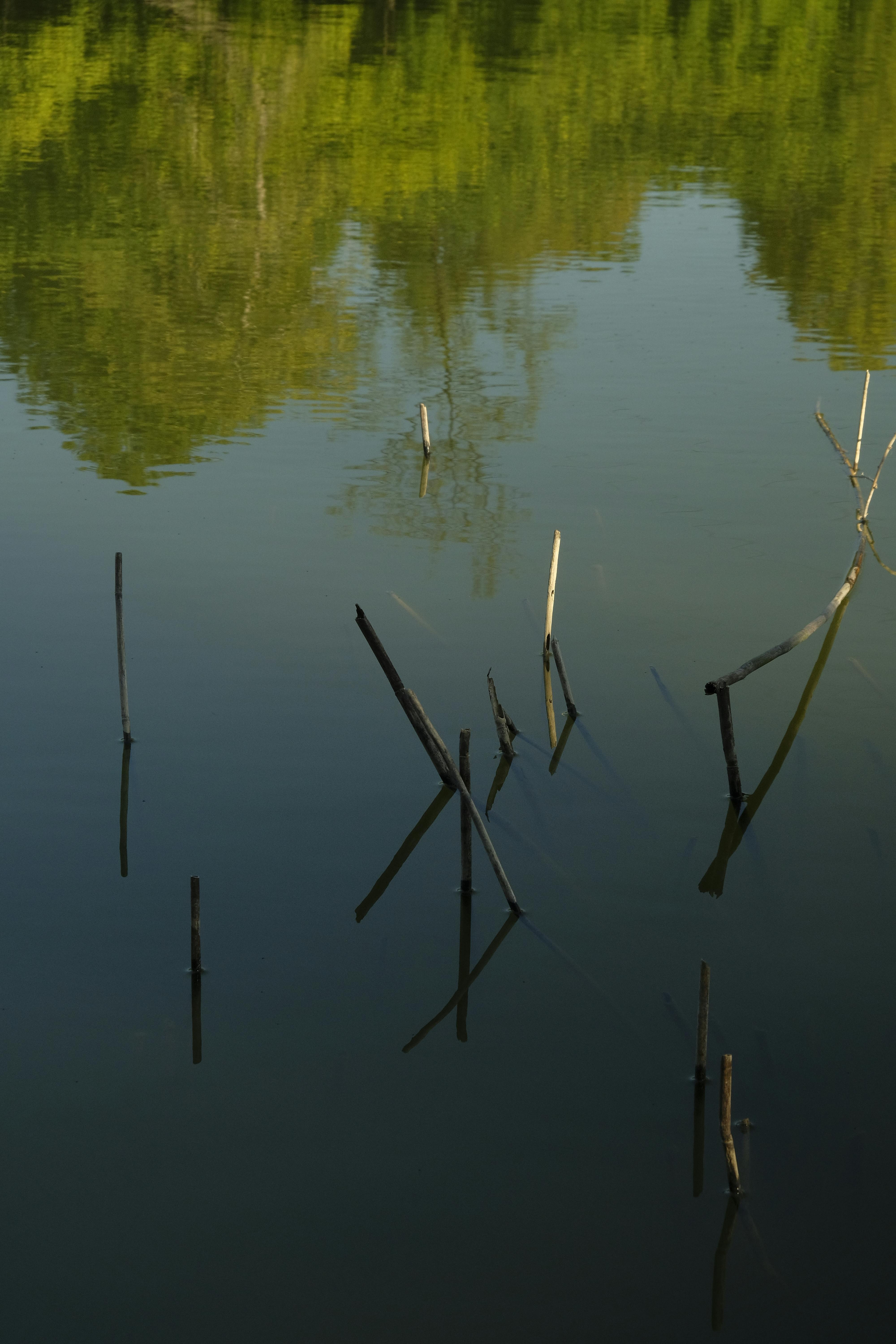 Sticks Photos, Download The BEST Free Sticks Stock Photos & HD Images