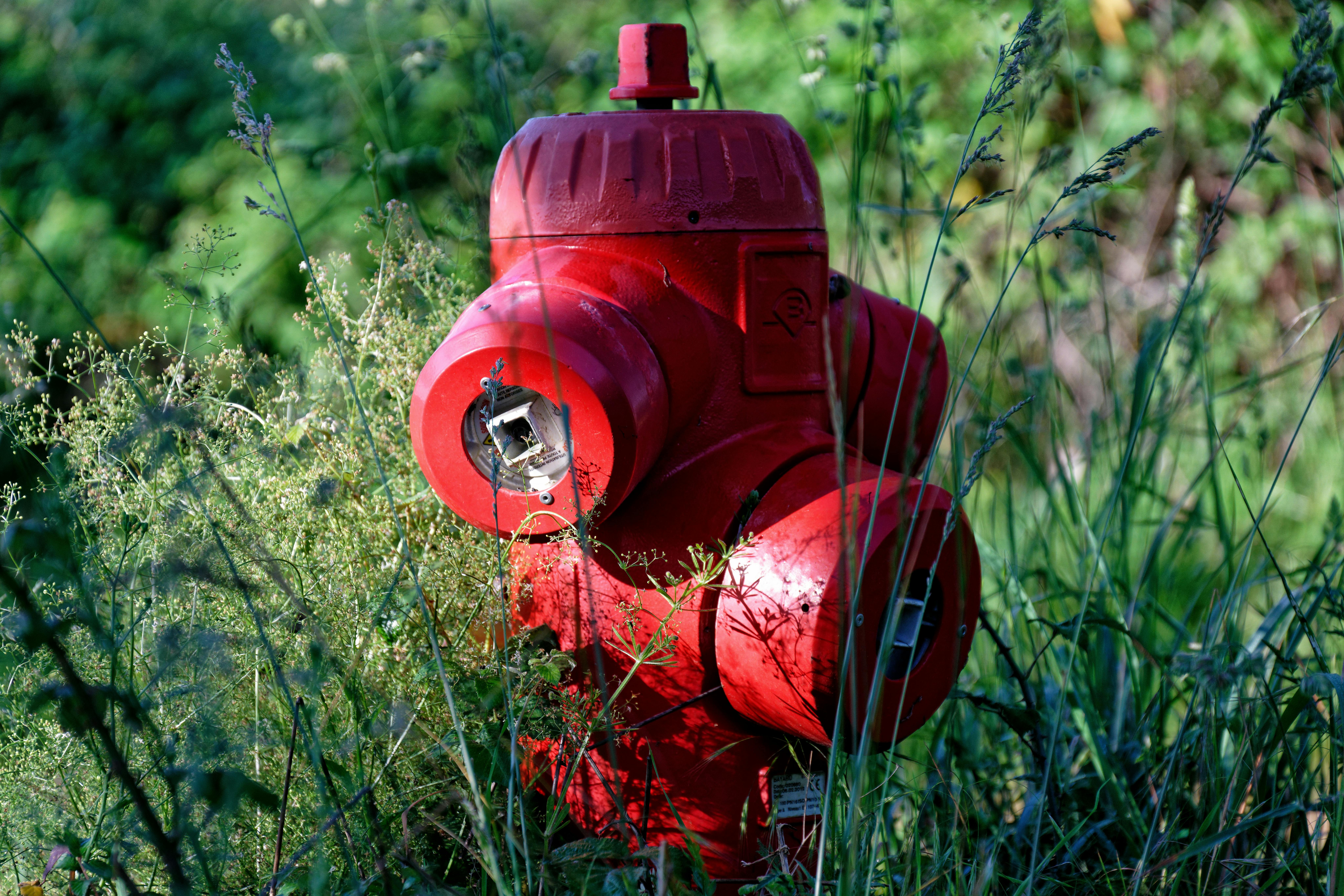 Close-up of a Fire Hydrant · Free Stock Photo