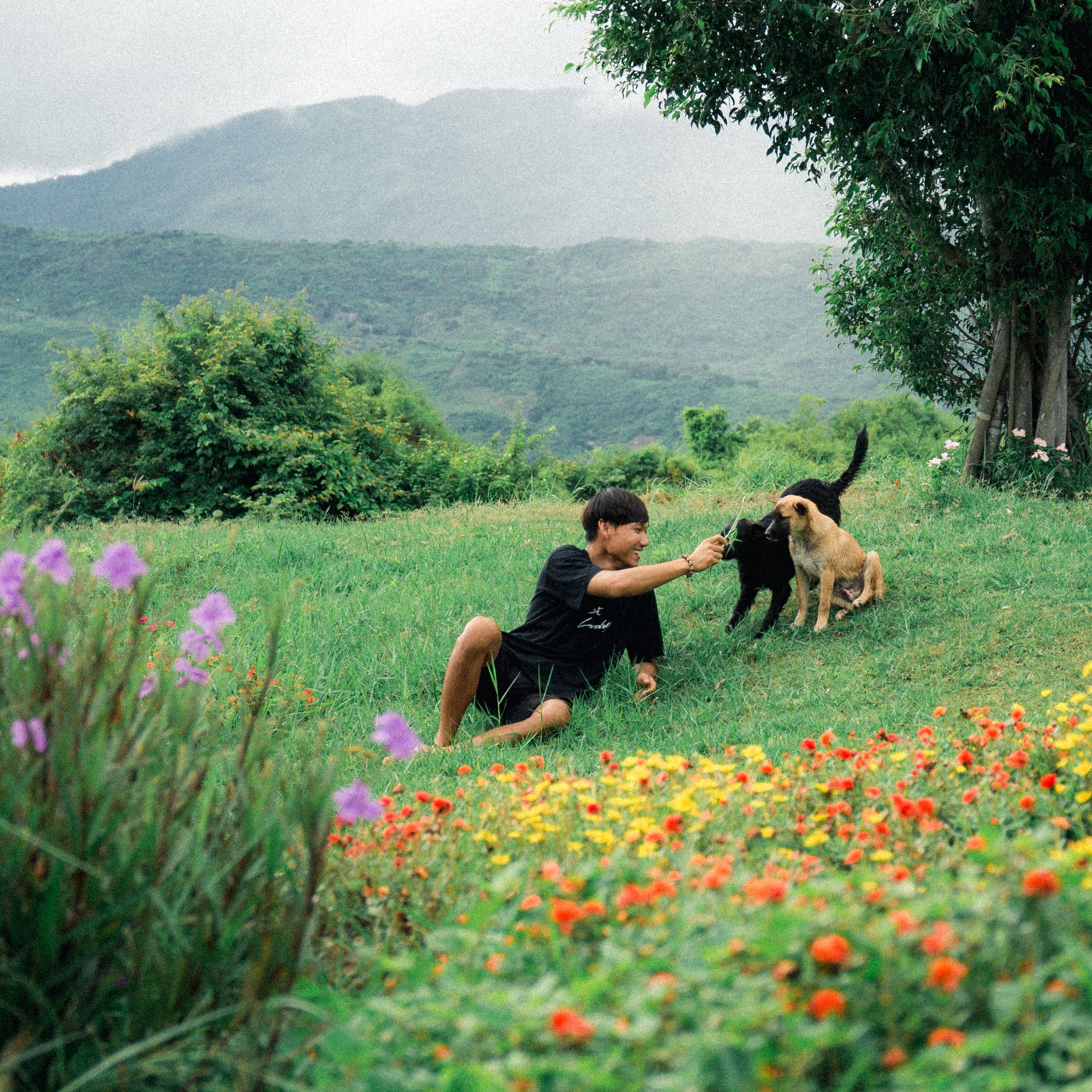 People Playing With Dogs Photos, Download The BEST Free People Playing ...