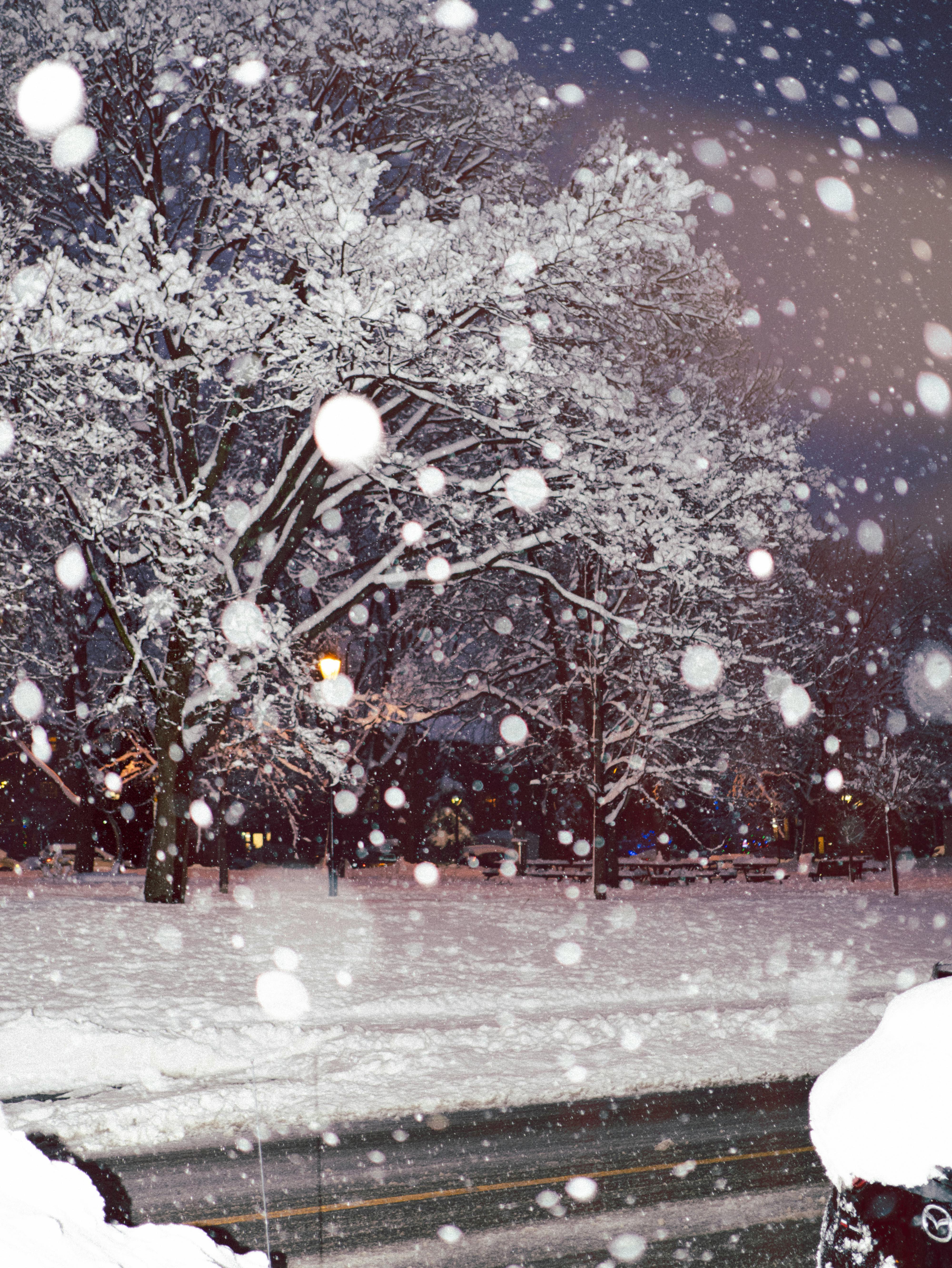 Winter Snow Photos, Download The BEST Free Winter Snow Stock Photos ...