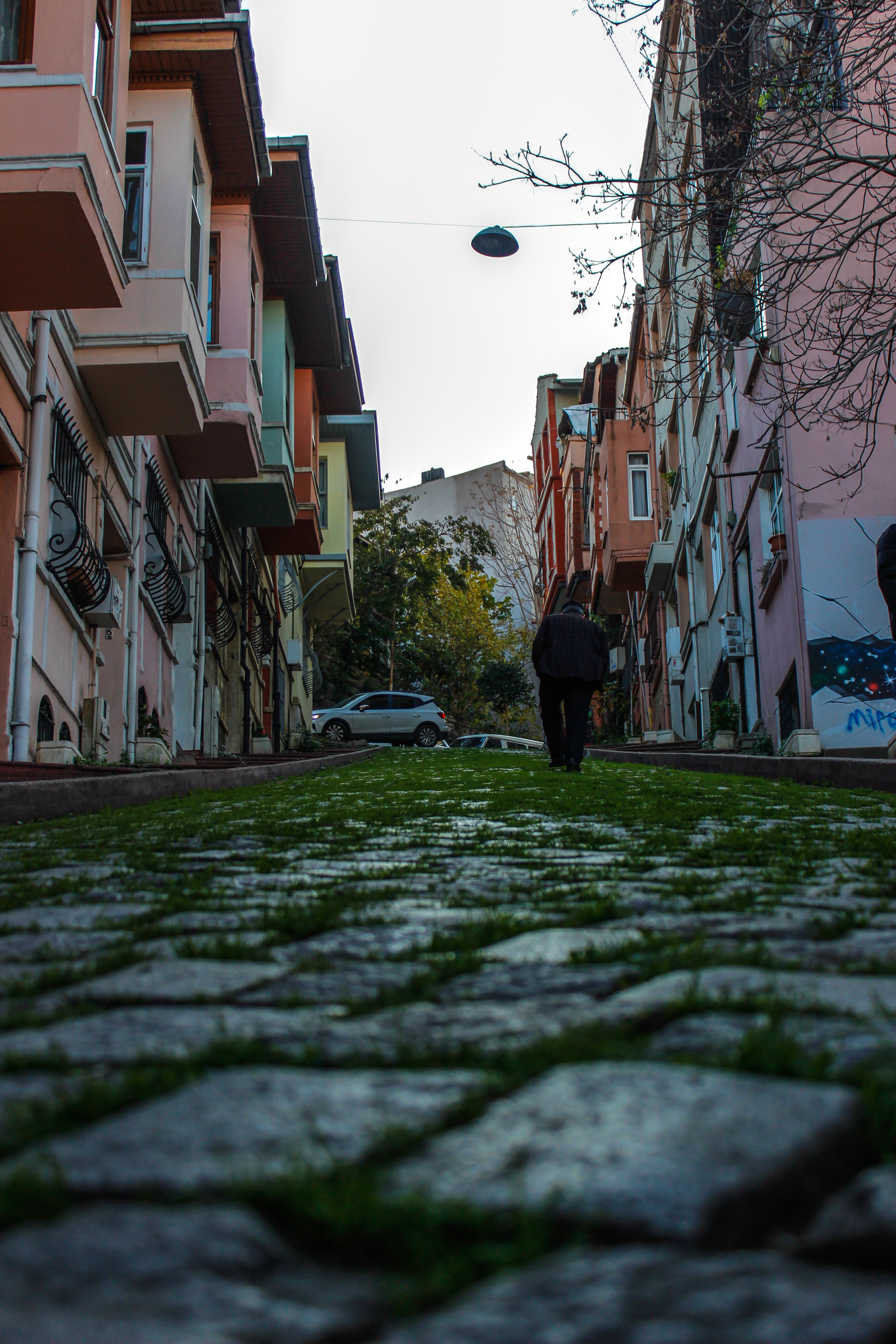 Cobblestone Street Growing Grass · Free Stock Photo