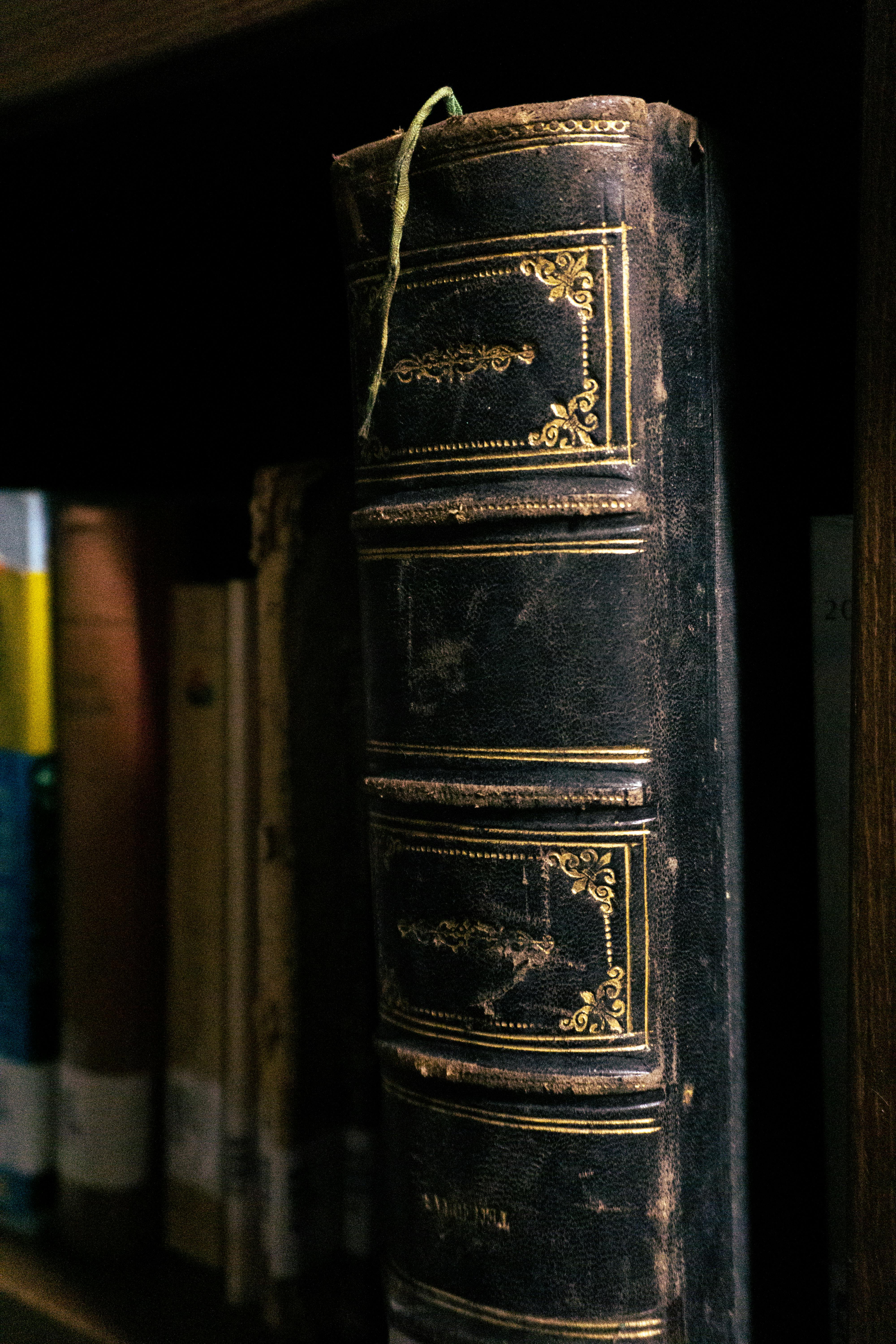 Books in English on White Background · Free Stock Photo