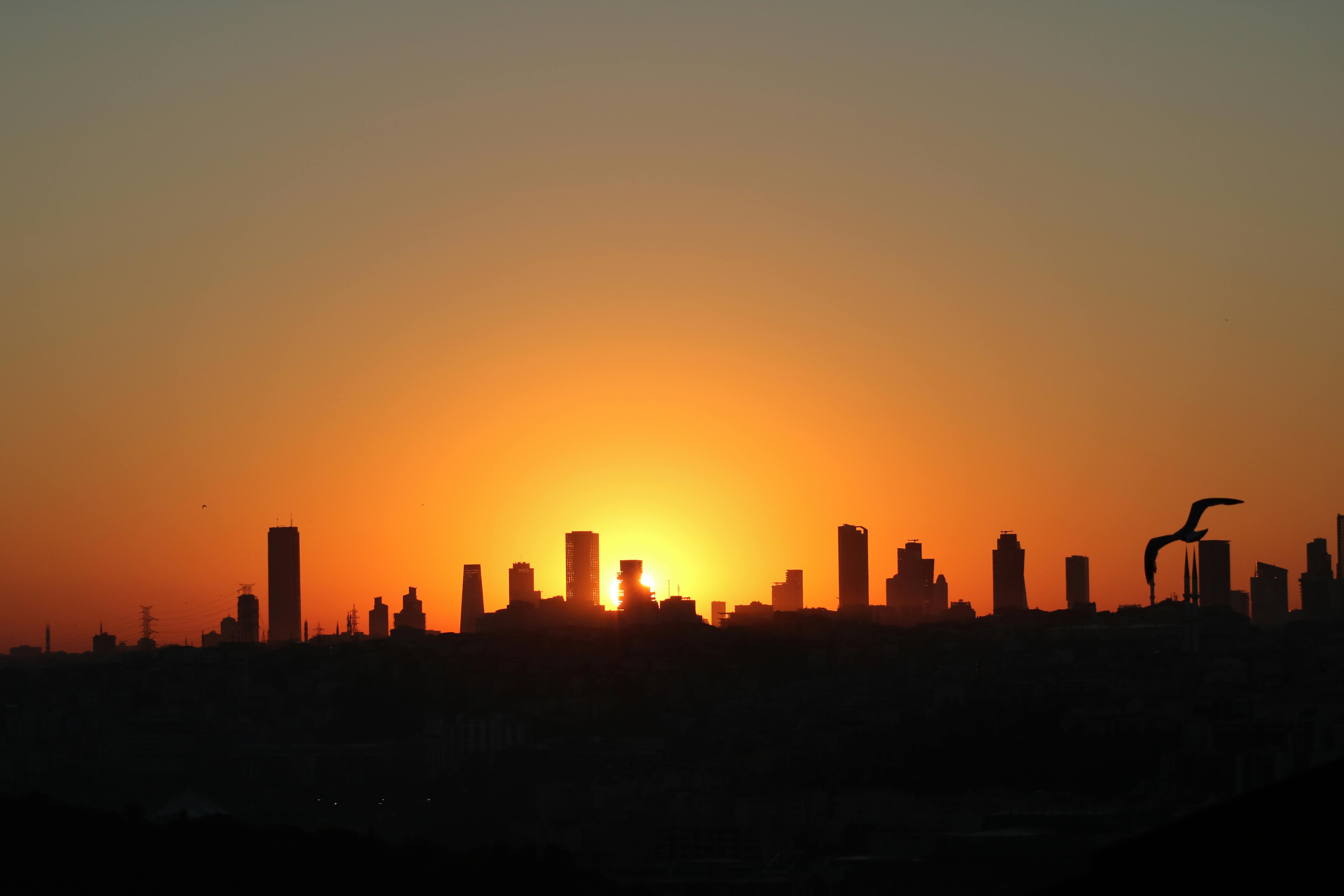 Silhouette of Buildings During Golden Hour · Free Stock Photo