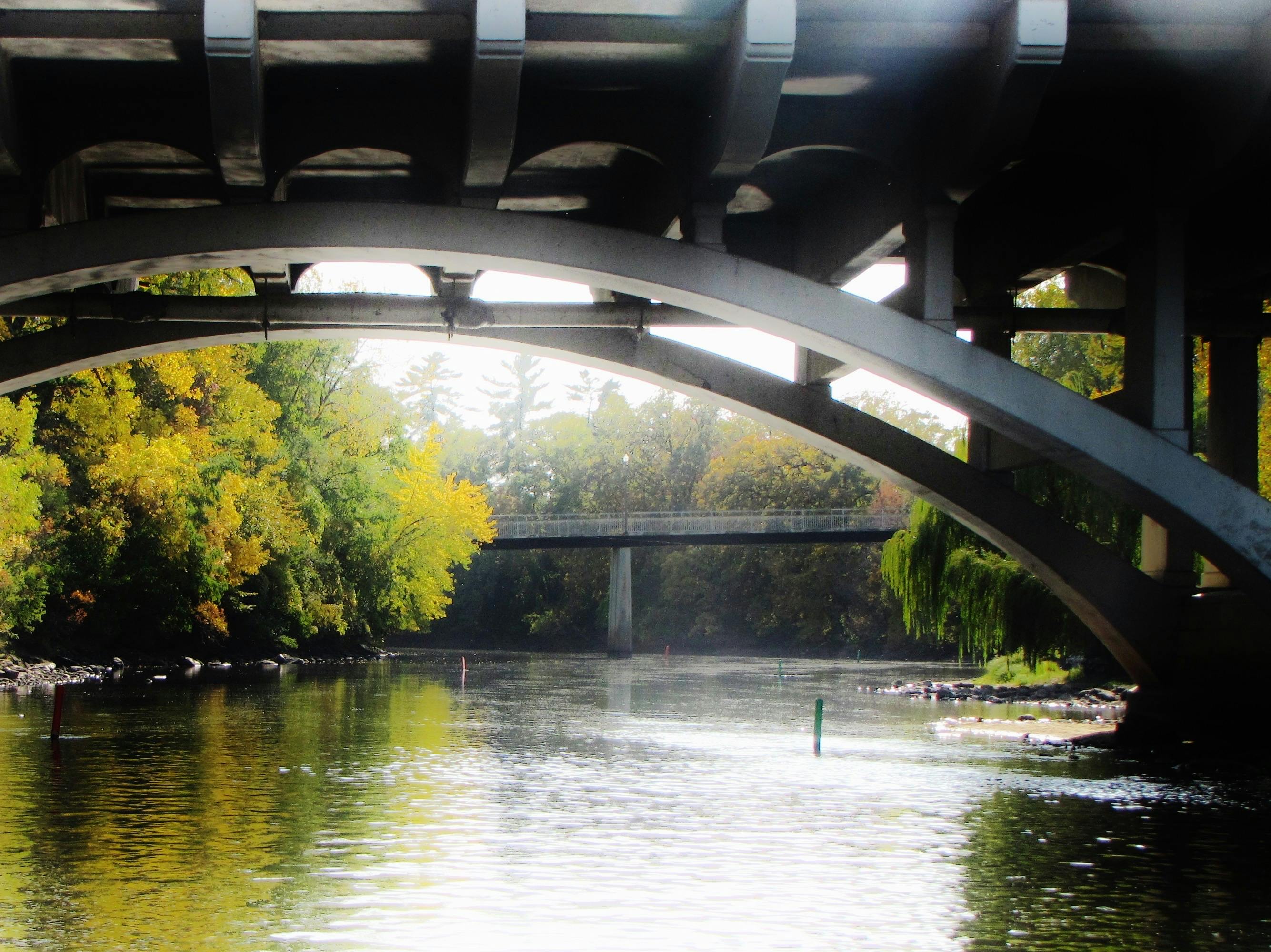 River Under Bridge · Free Stock Photo