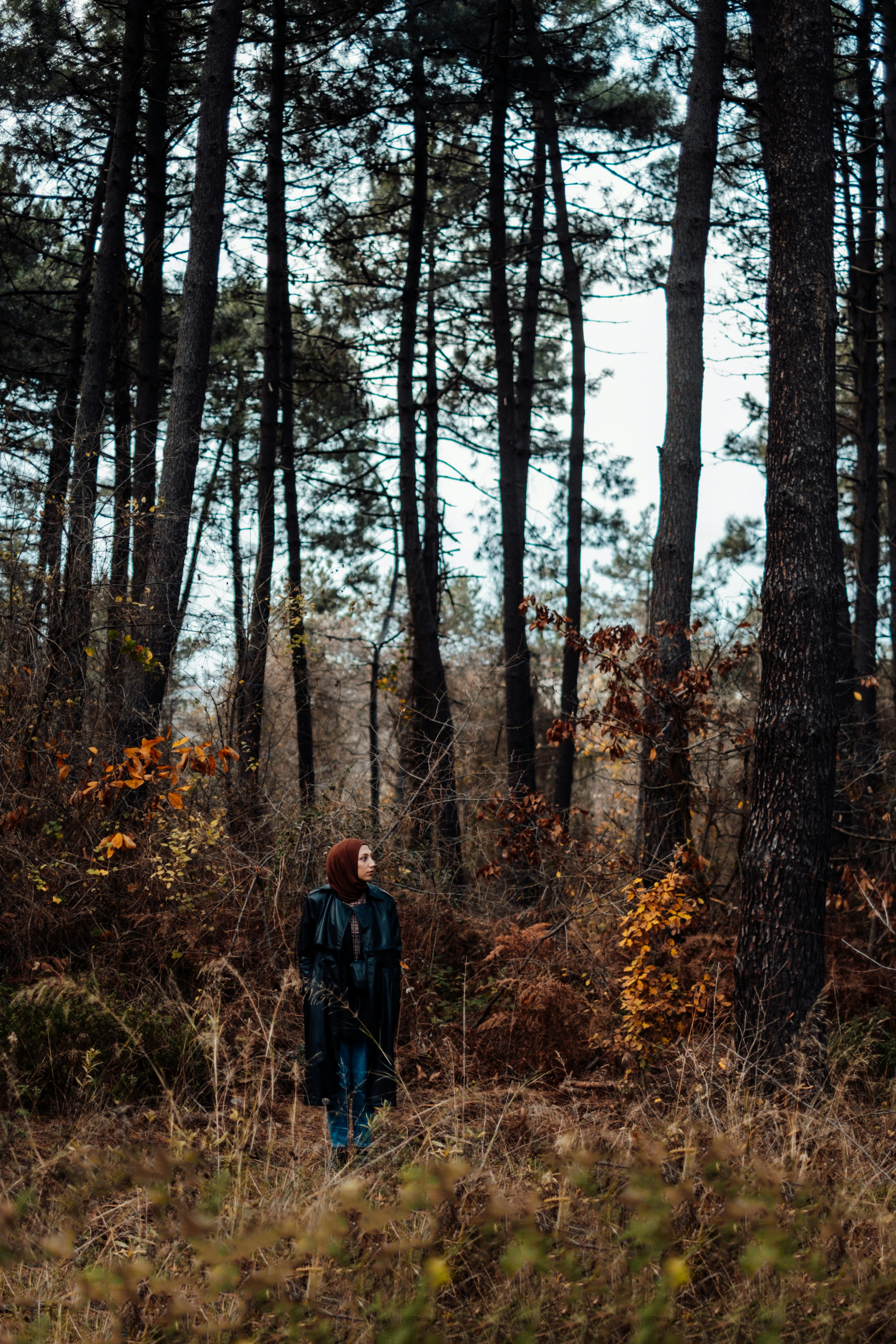 A Person Standing in the Forest · Free Stock Photo