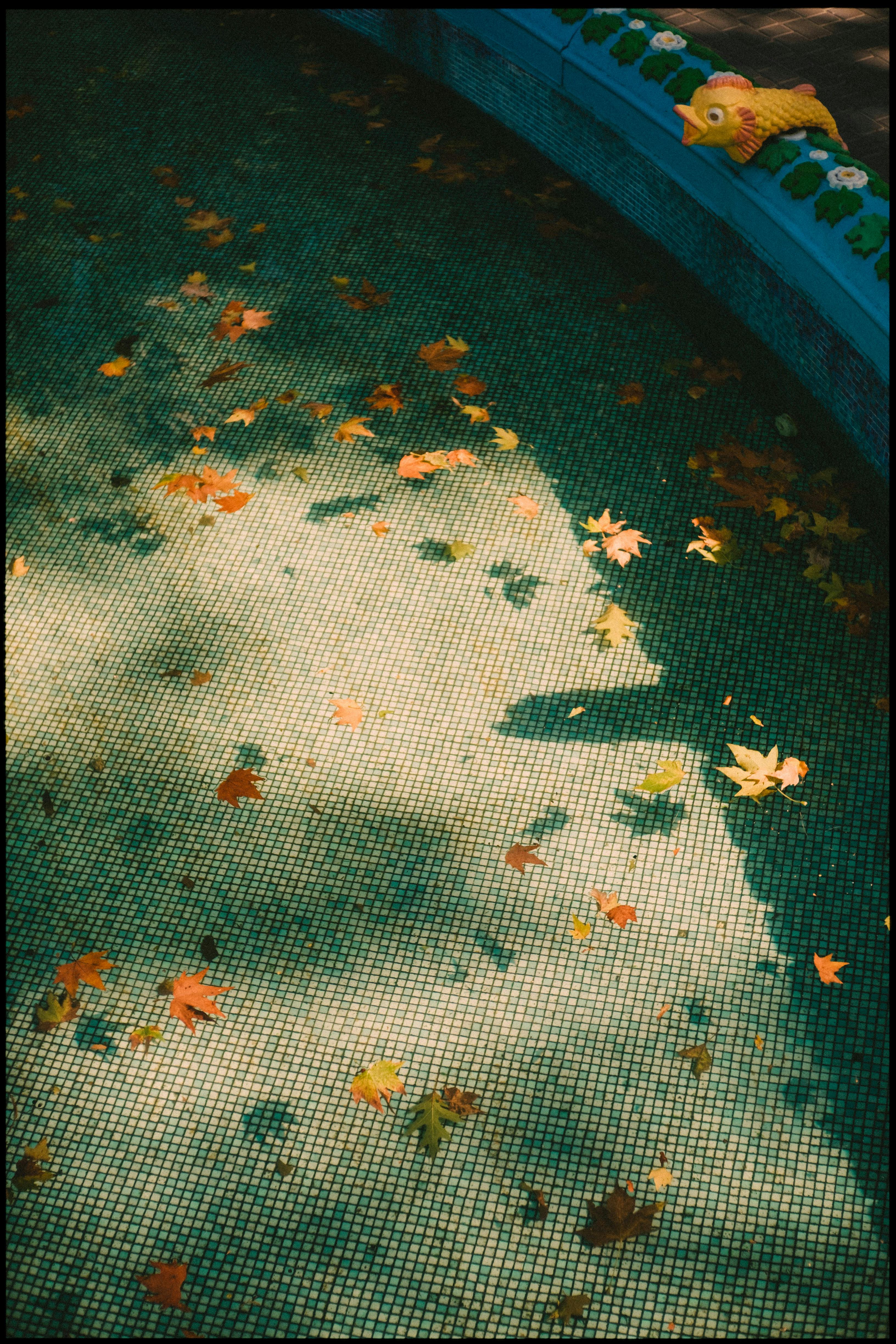 Shade Change Photos, Download The BEST Free Shade Change Stock Photos ...