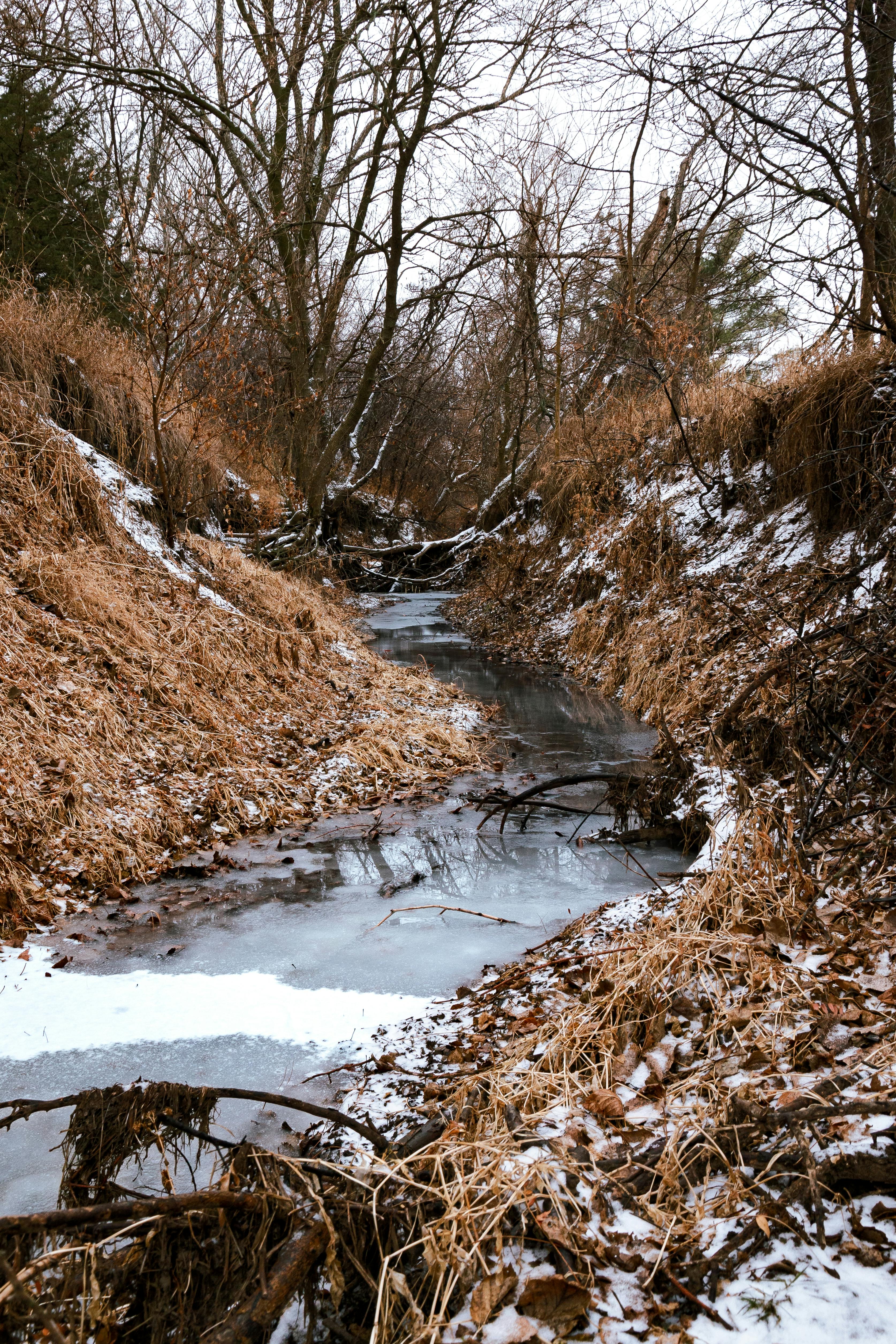 Ice on Stream in Winter · Free Stock Photo