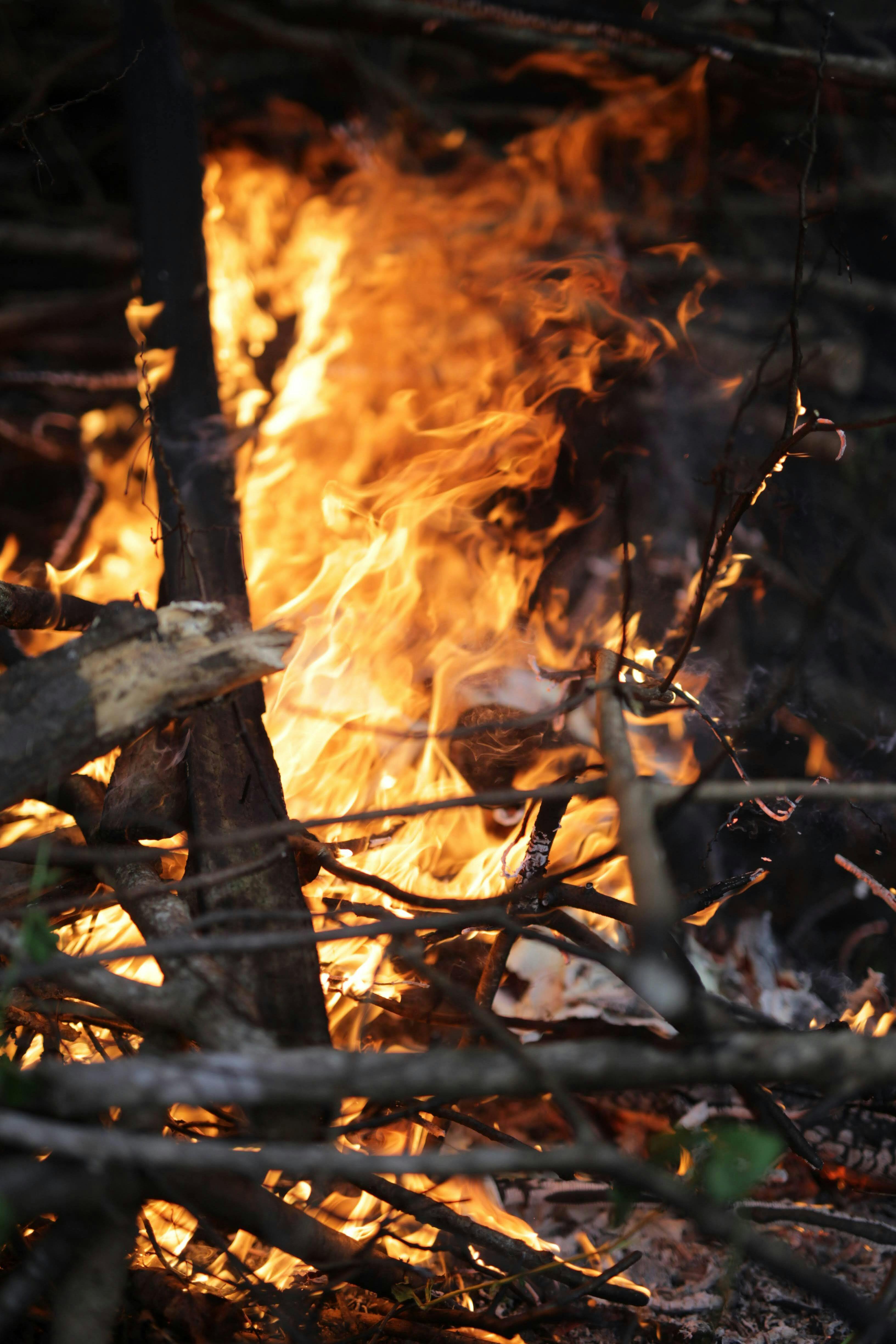 Makarov Pistol Lying on Tree Log by Bonfire · Free Stock Photo