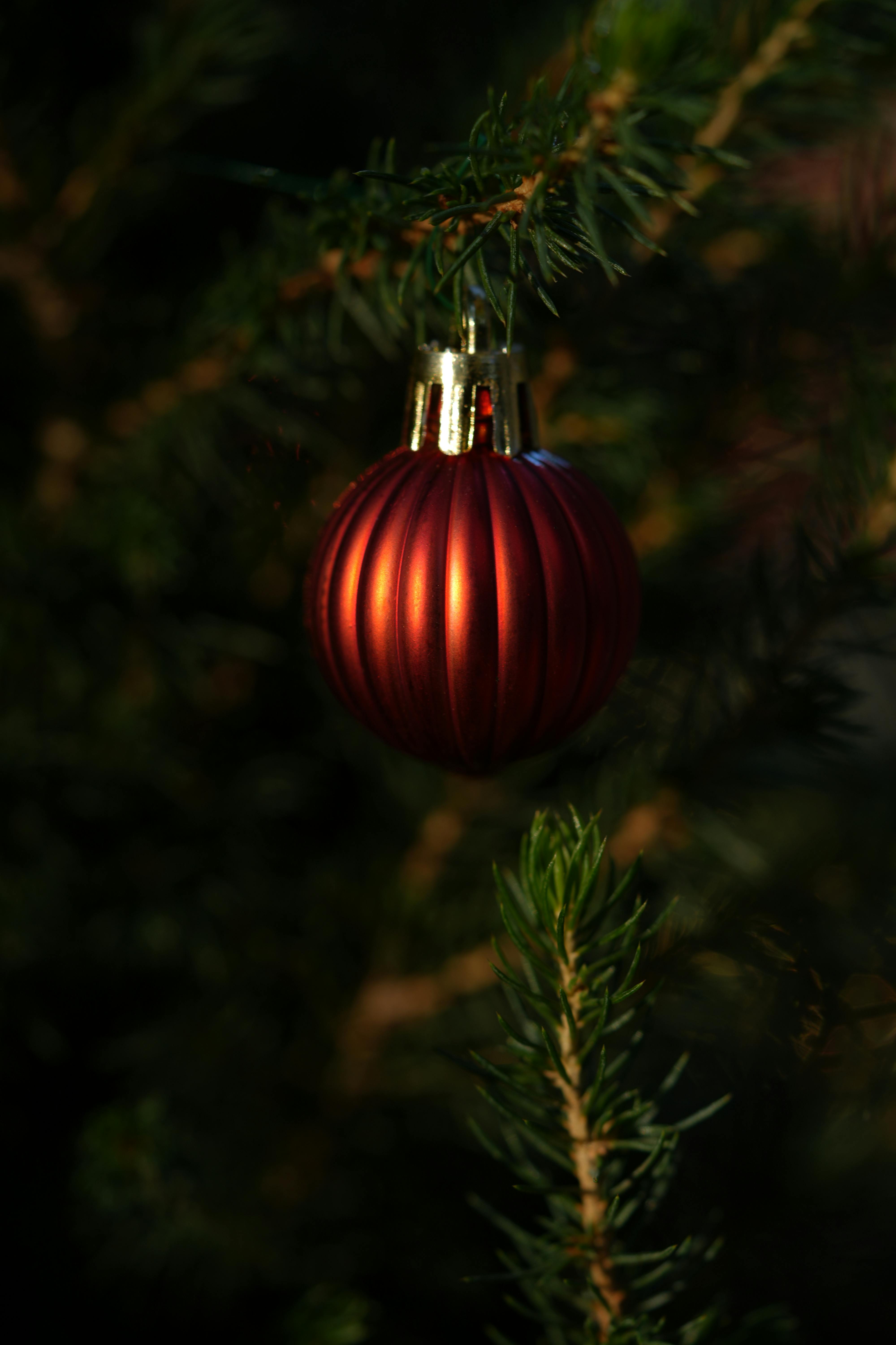 Close-Up Shot of Christmas Baubles Hanging on a Christmas Tree · Free ...