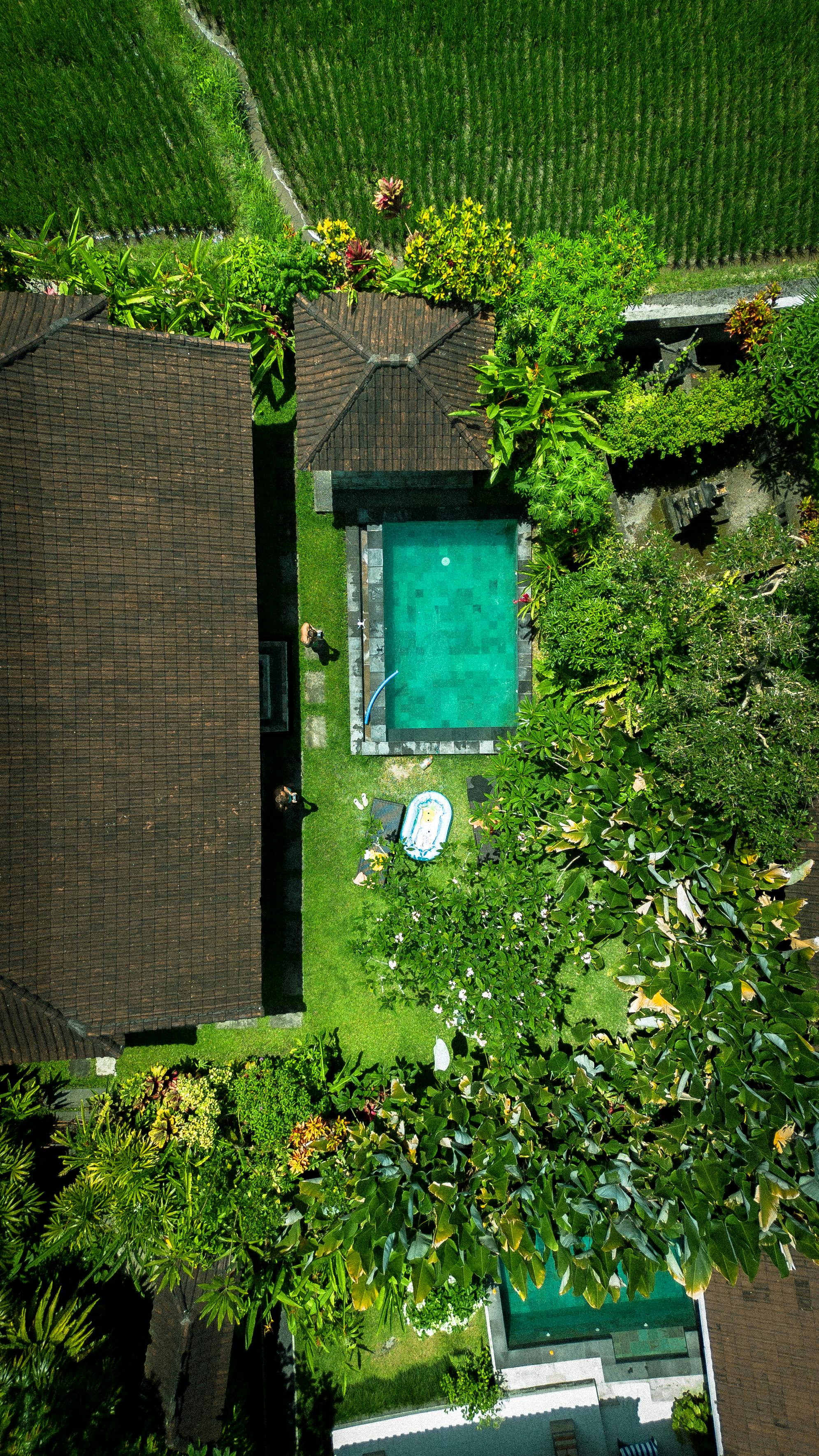 Top View of Garden on Rooftop · Free Stock Photo