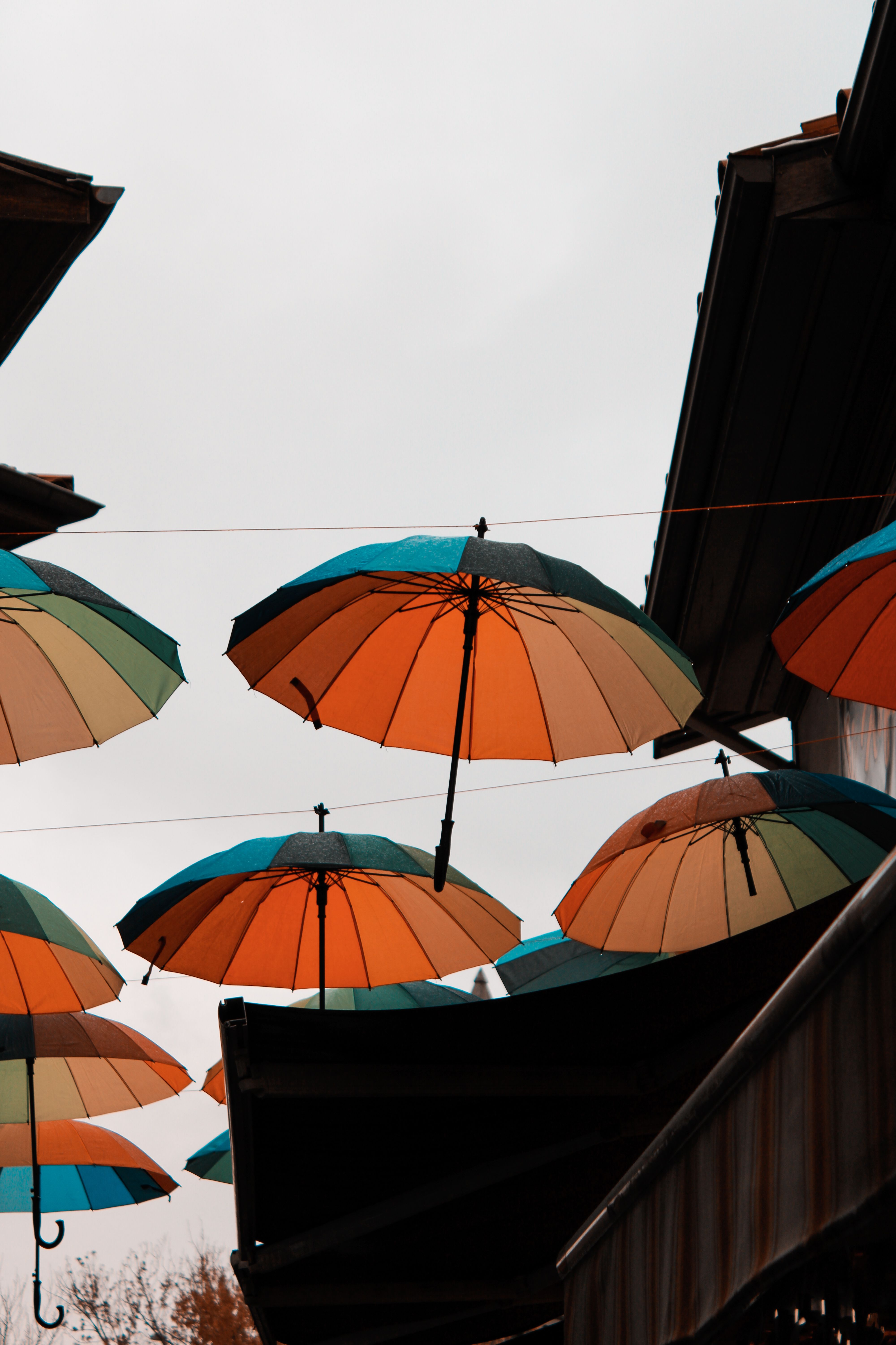 Umbrellas Hanging between Buildings · Free Stock Photo