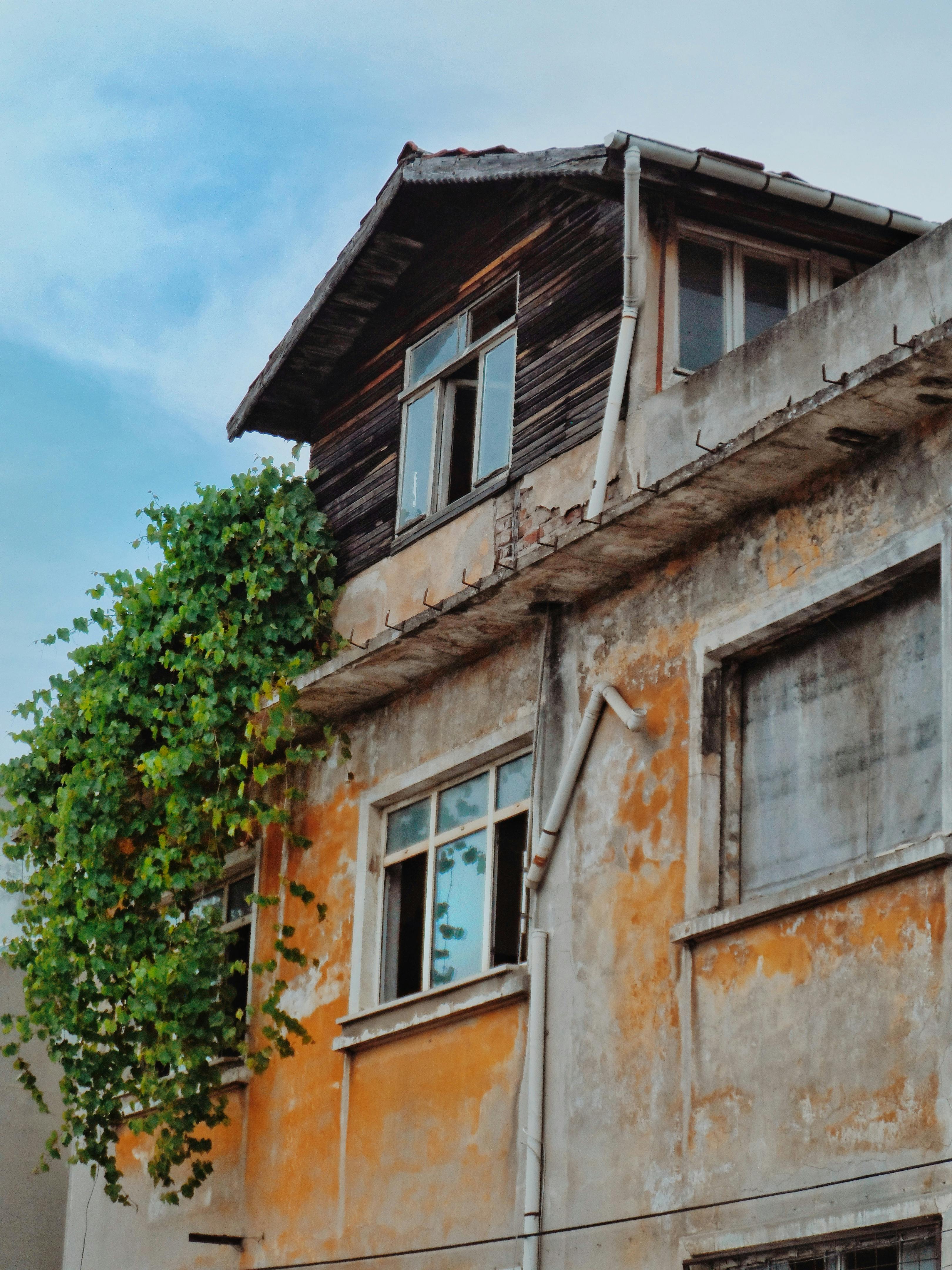 Neglected Houses in City · Free Stock Photo