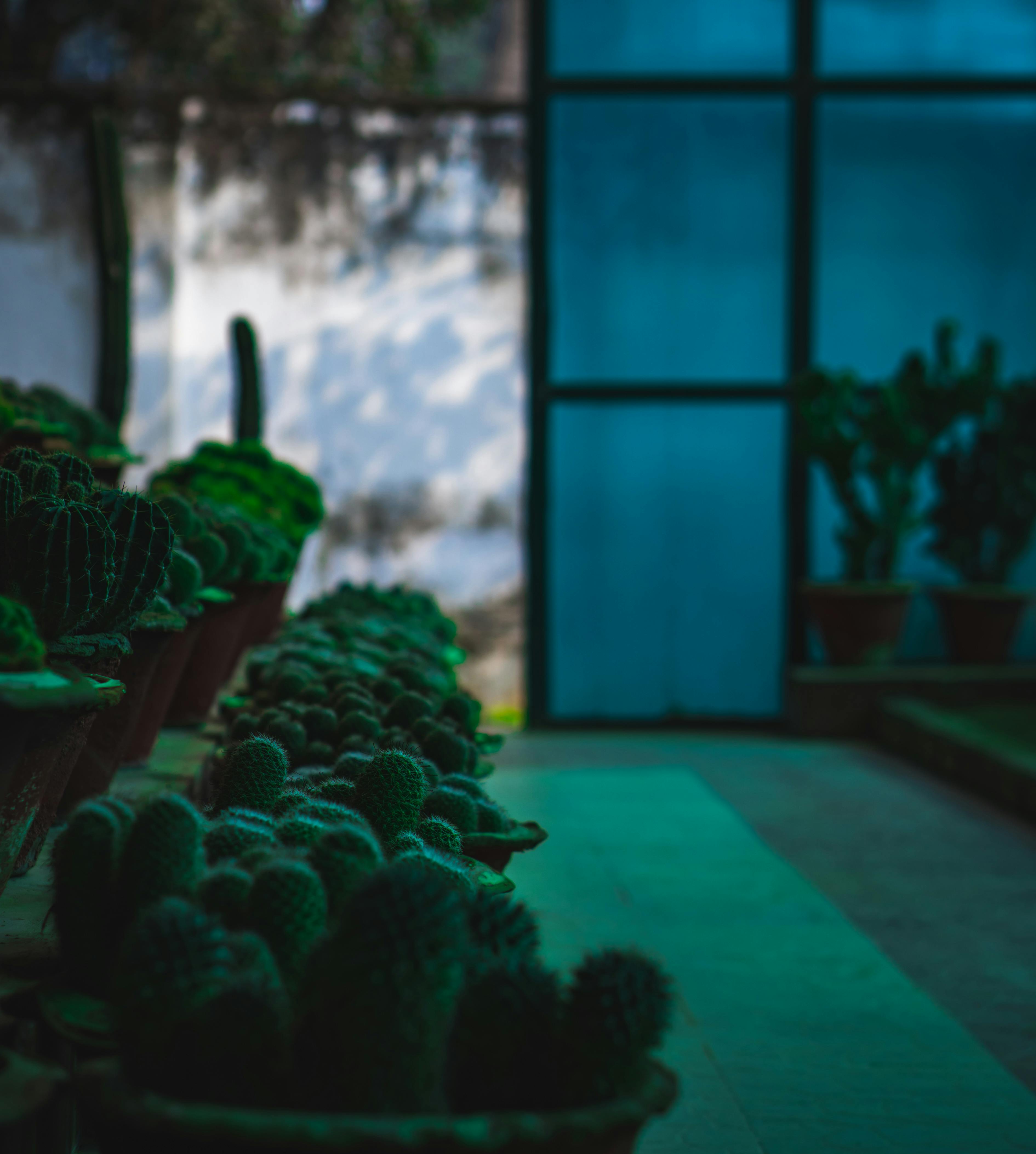 Desktop Row Photos, Download The BEST Free Desktop Row Stock Photos ...