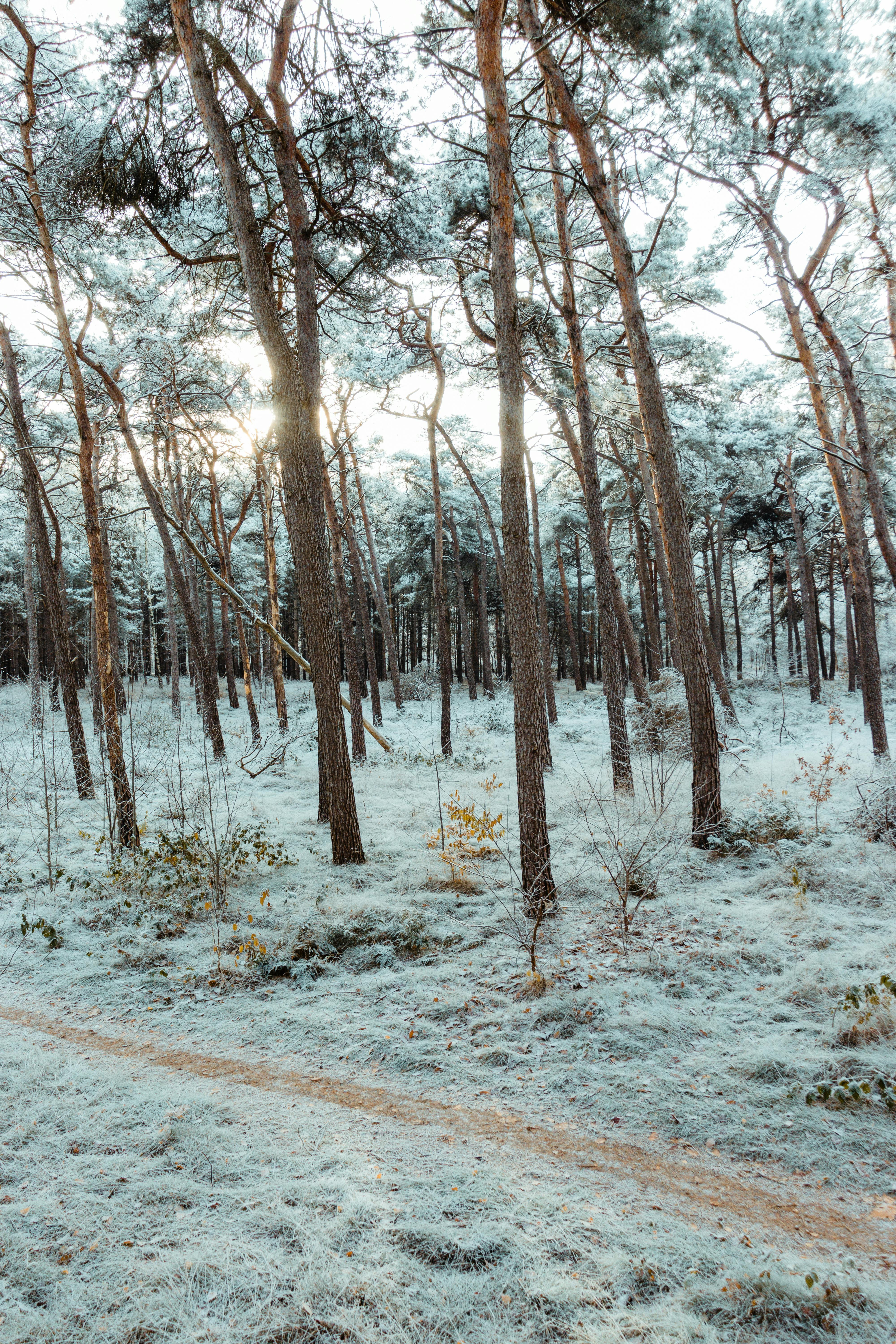 Soft Morning Light Photos, Download The BEST Free Soft Morning Light ...