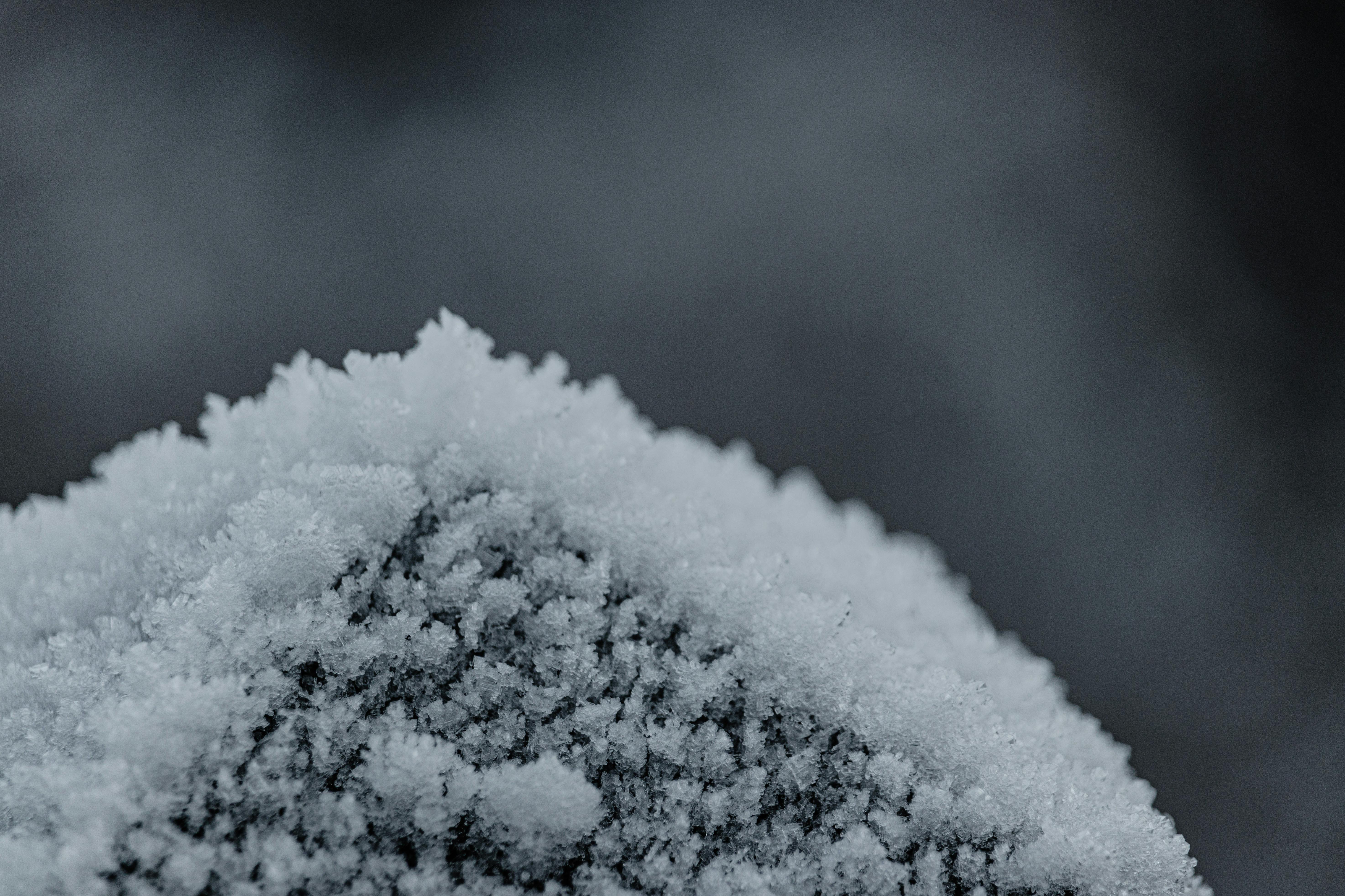 Close-up of a Snow · Free Stock Photo