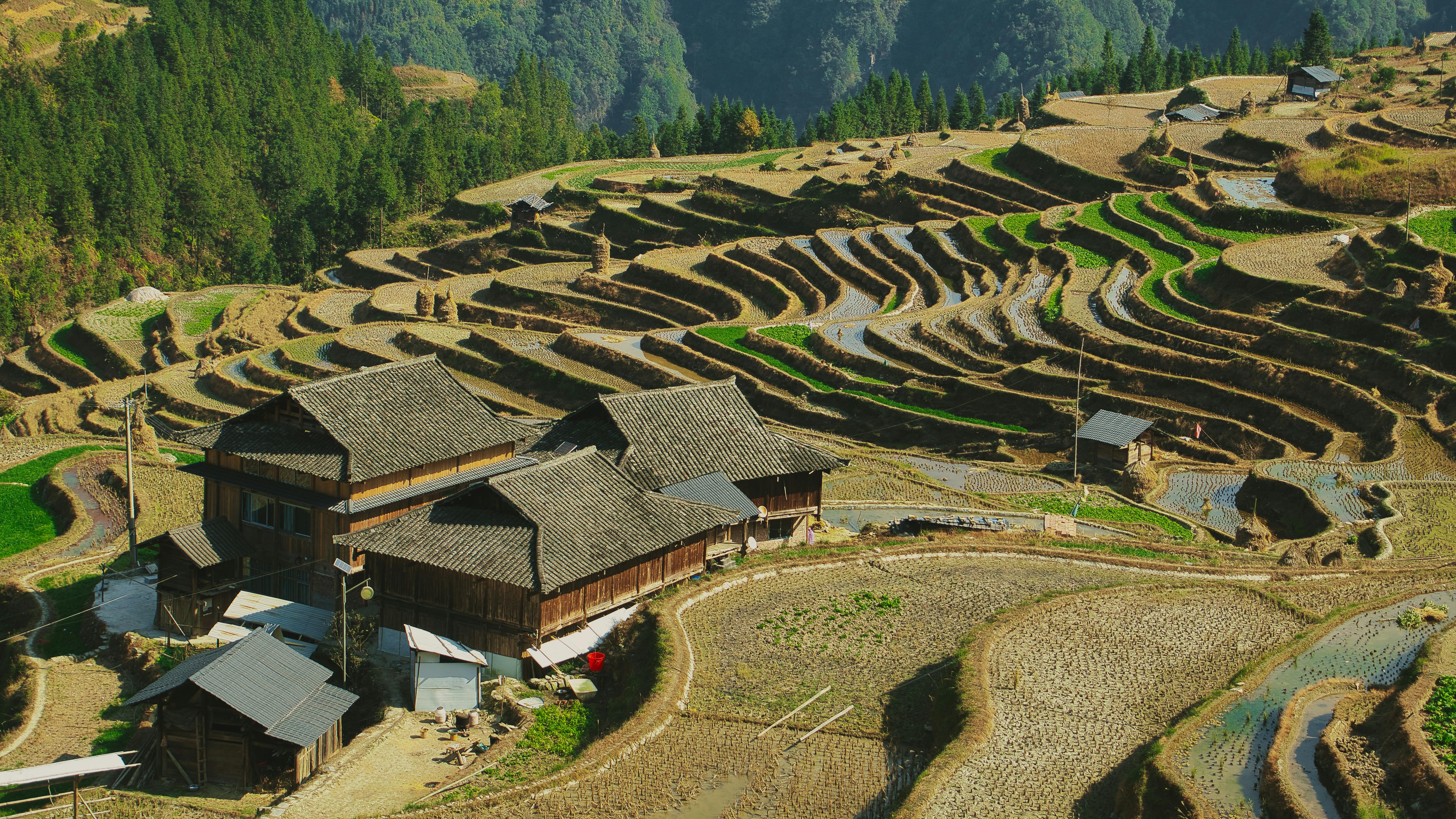 Step Fields Photos, Download The BEST Free Step Fields Stock Photos ...