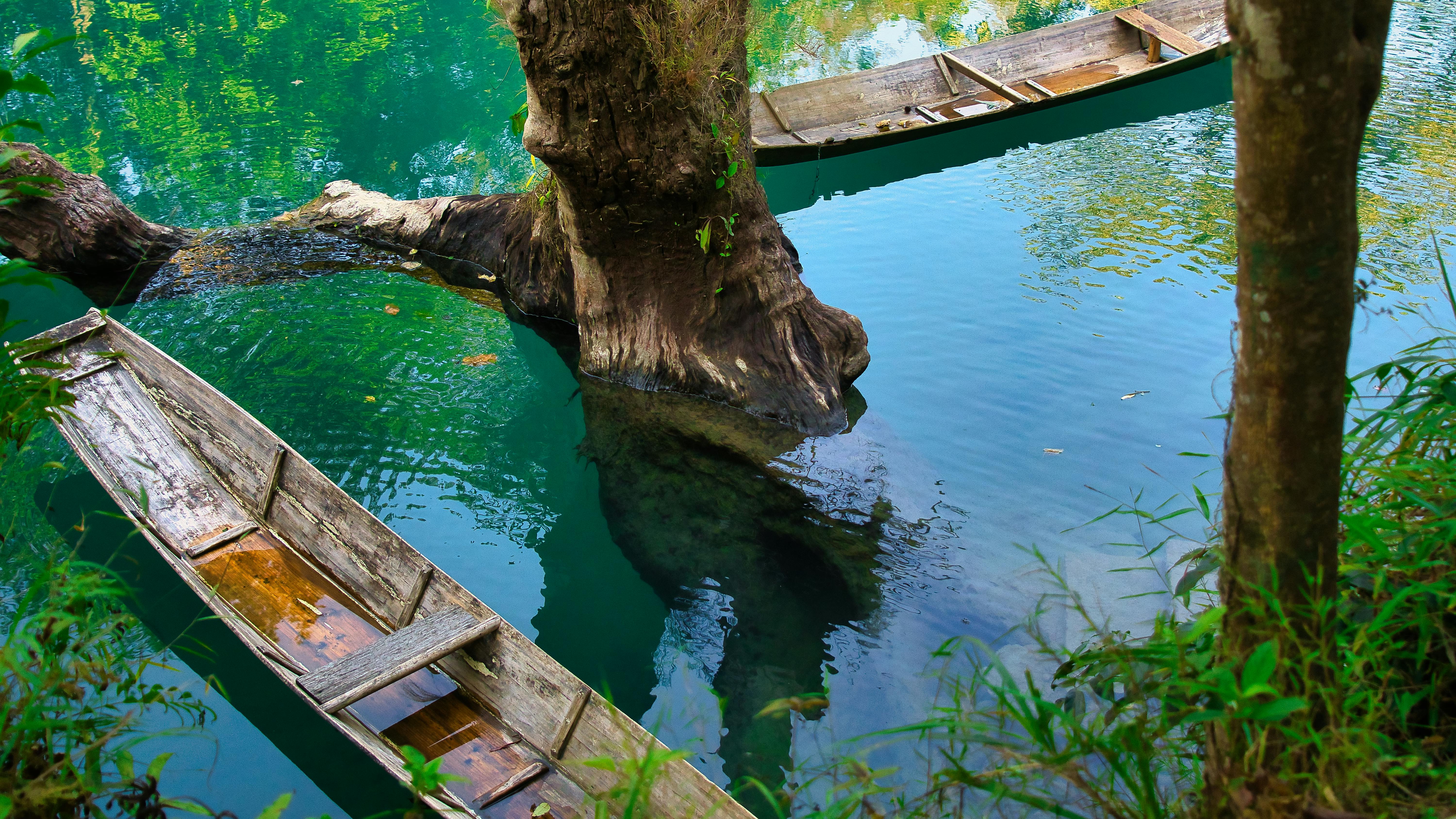 A Curved Infinity Pool Extends Over A Lush, Forested Hillside ...