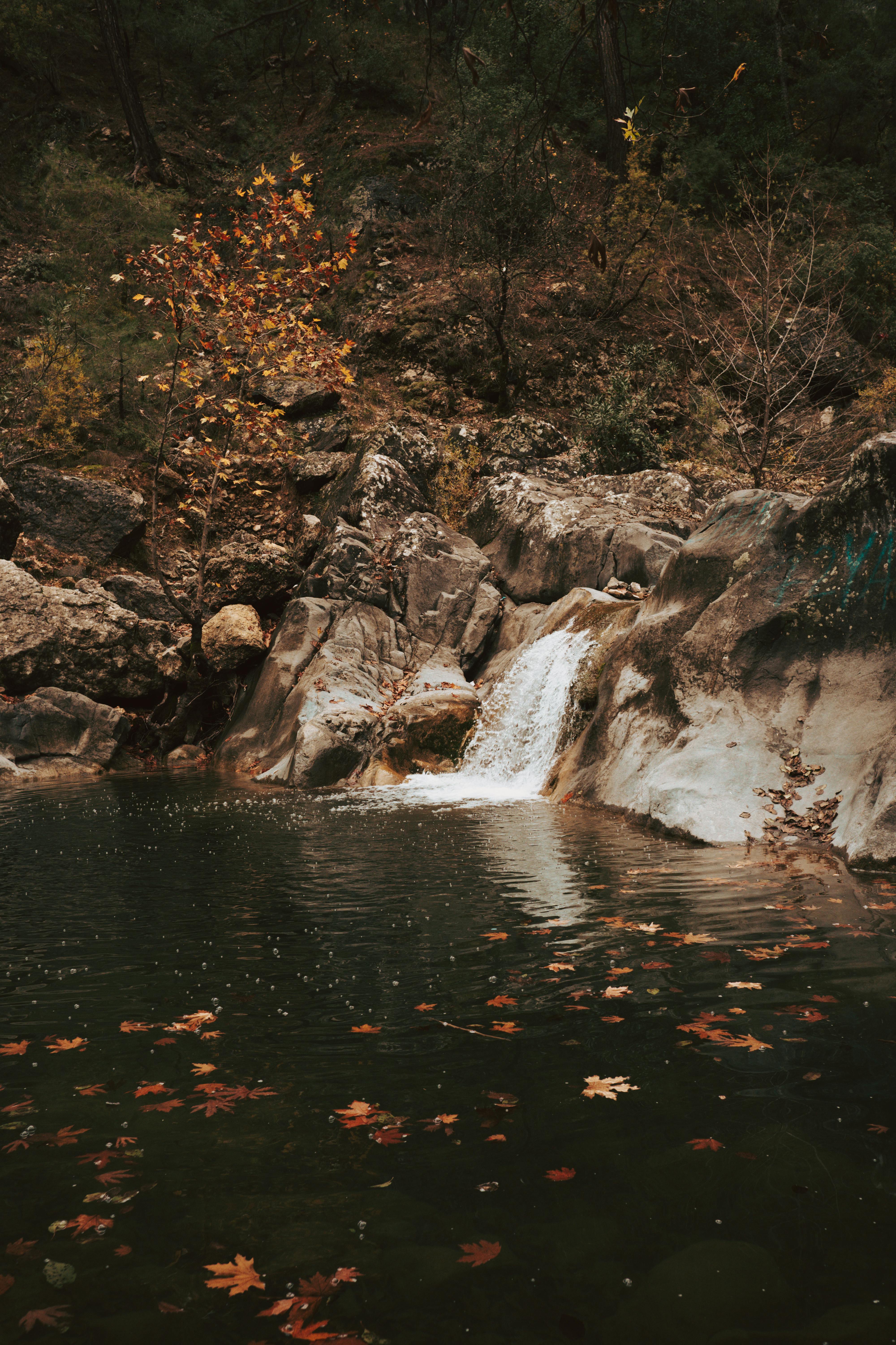 Waterfall Falling into River · Free Stock Photo