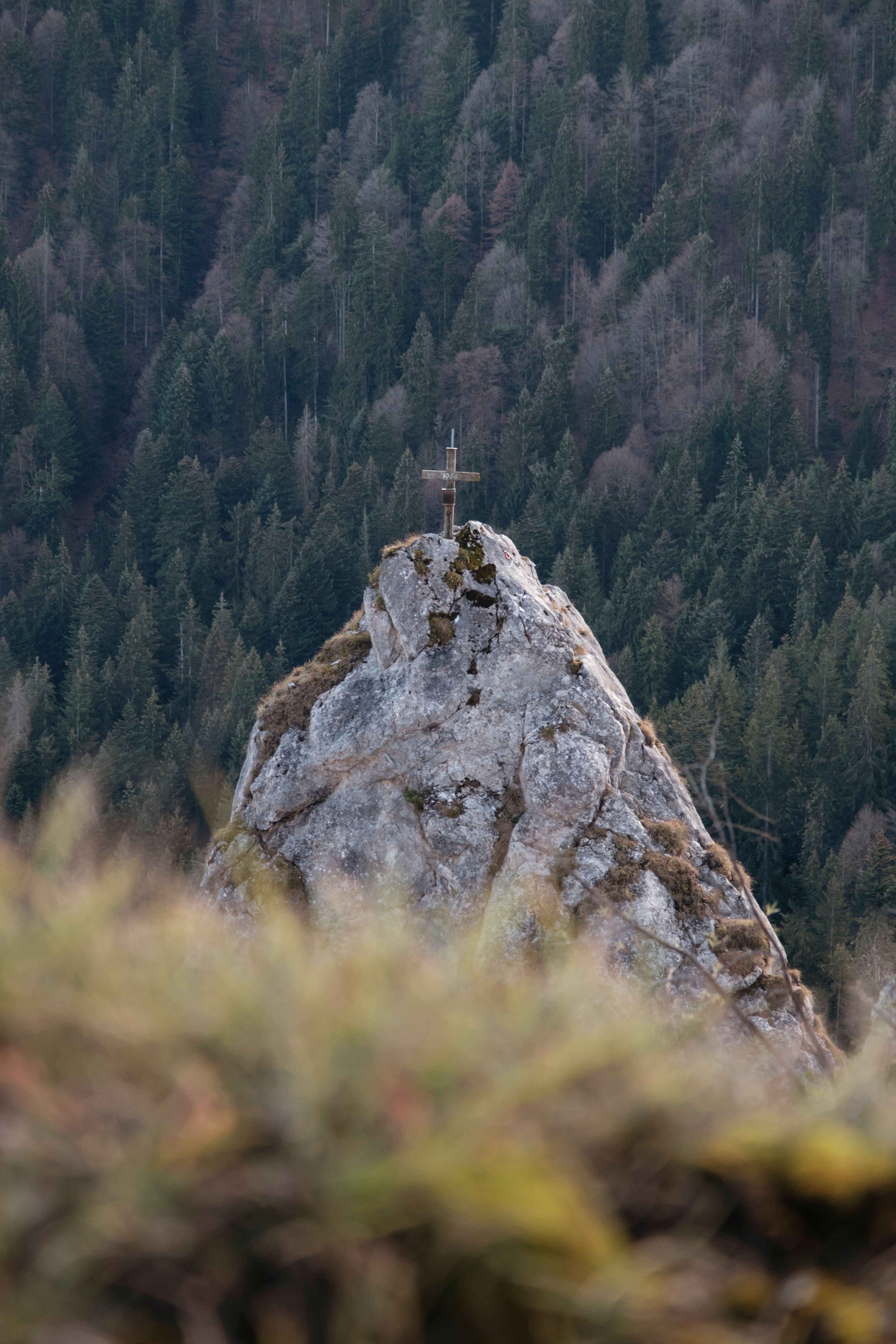 Top Rated Photos, Download The BEST Free Top Rated Stock Photos & HD Images