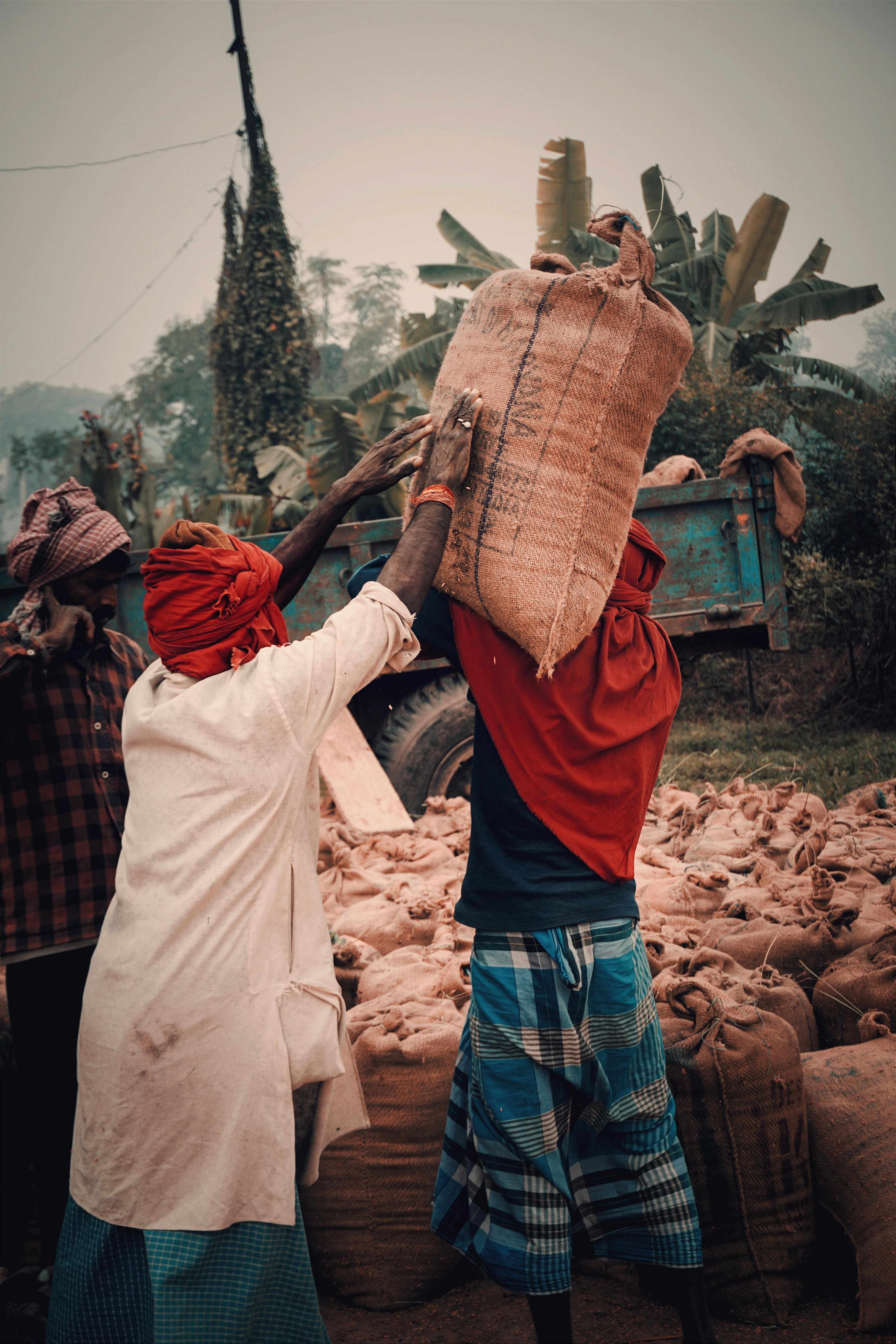 Men Working in Transportation · Free Stock Photo