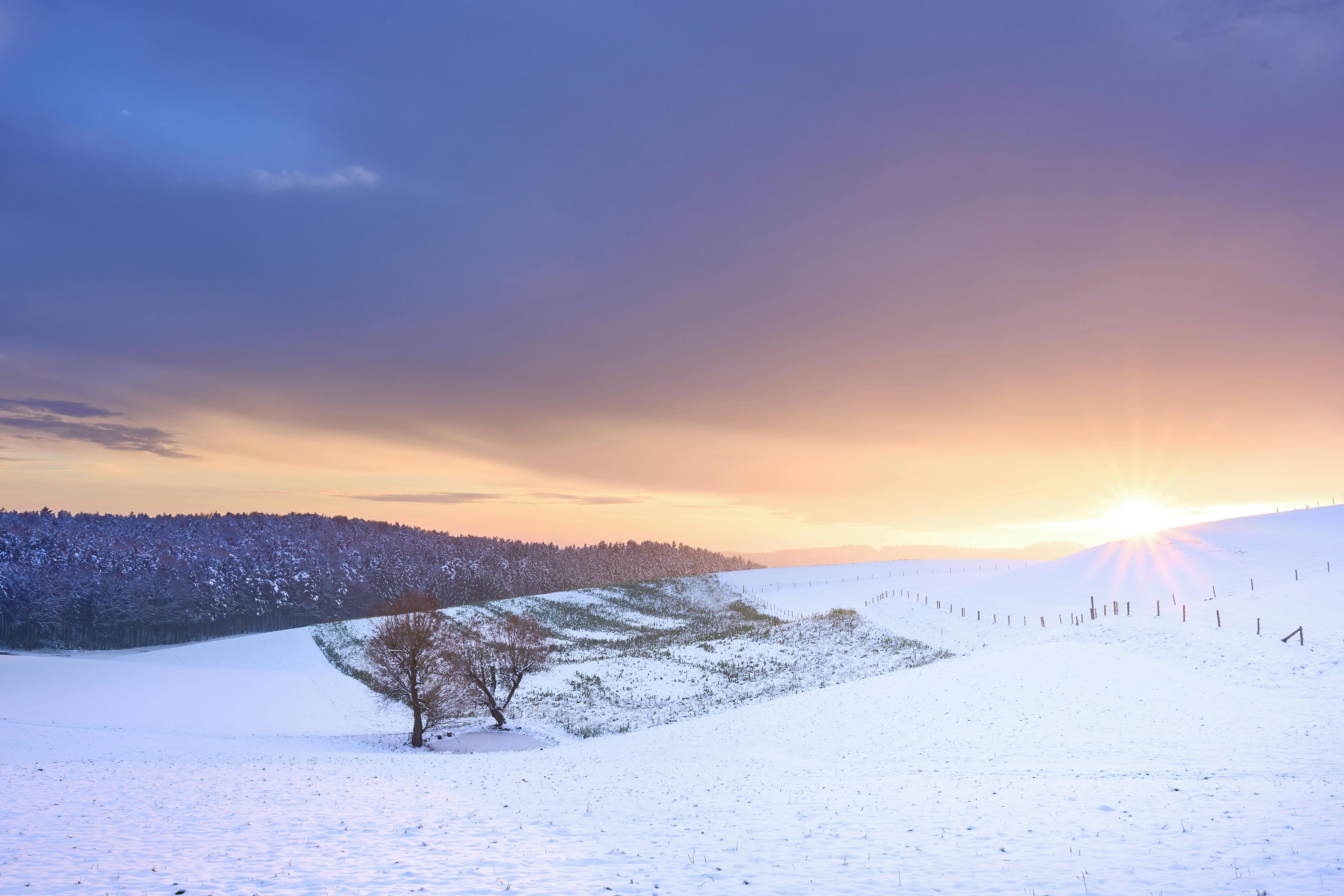 Snow Field Background Photos, Download The BEST Free Snow Field ...
